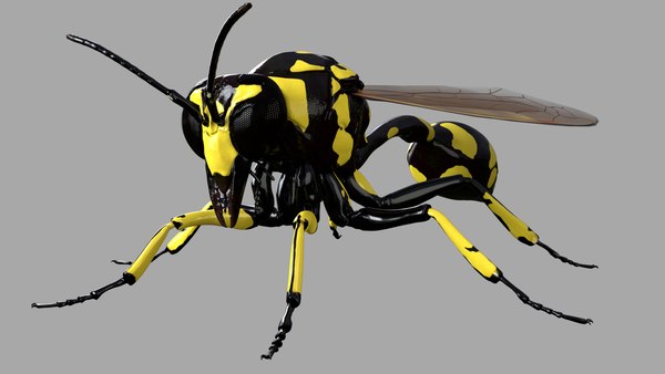 Wasp 3D Models for Download | TurboSquid