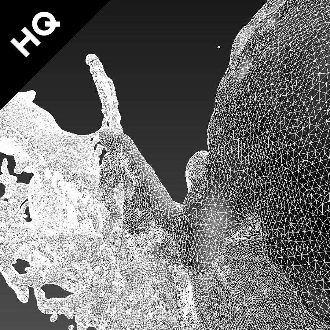 3d model splash realflow flow