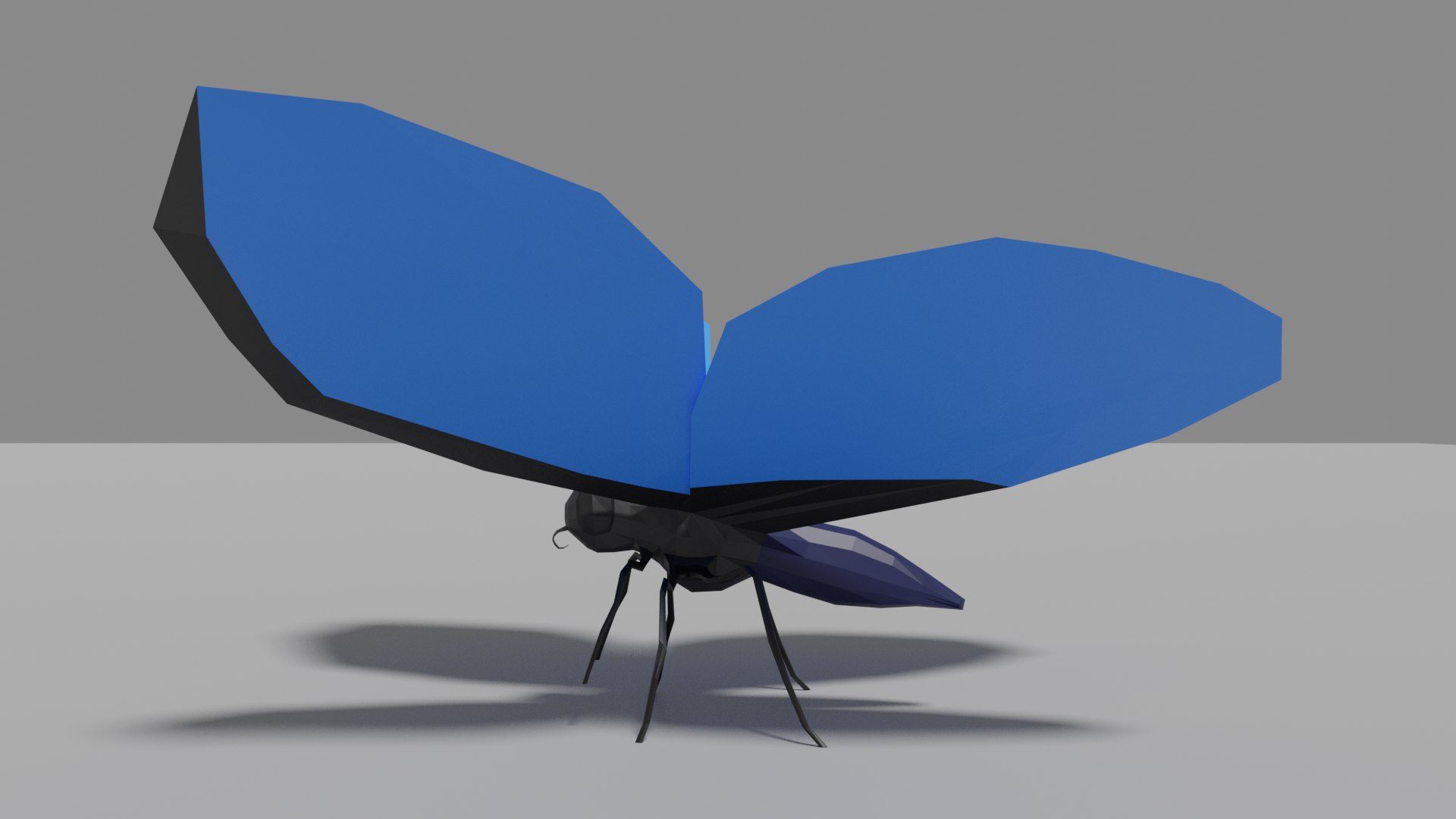 Low-poly Butterfly 3D model - TurboSquid 1777196