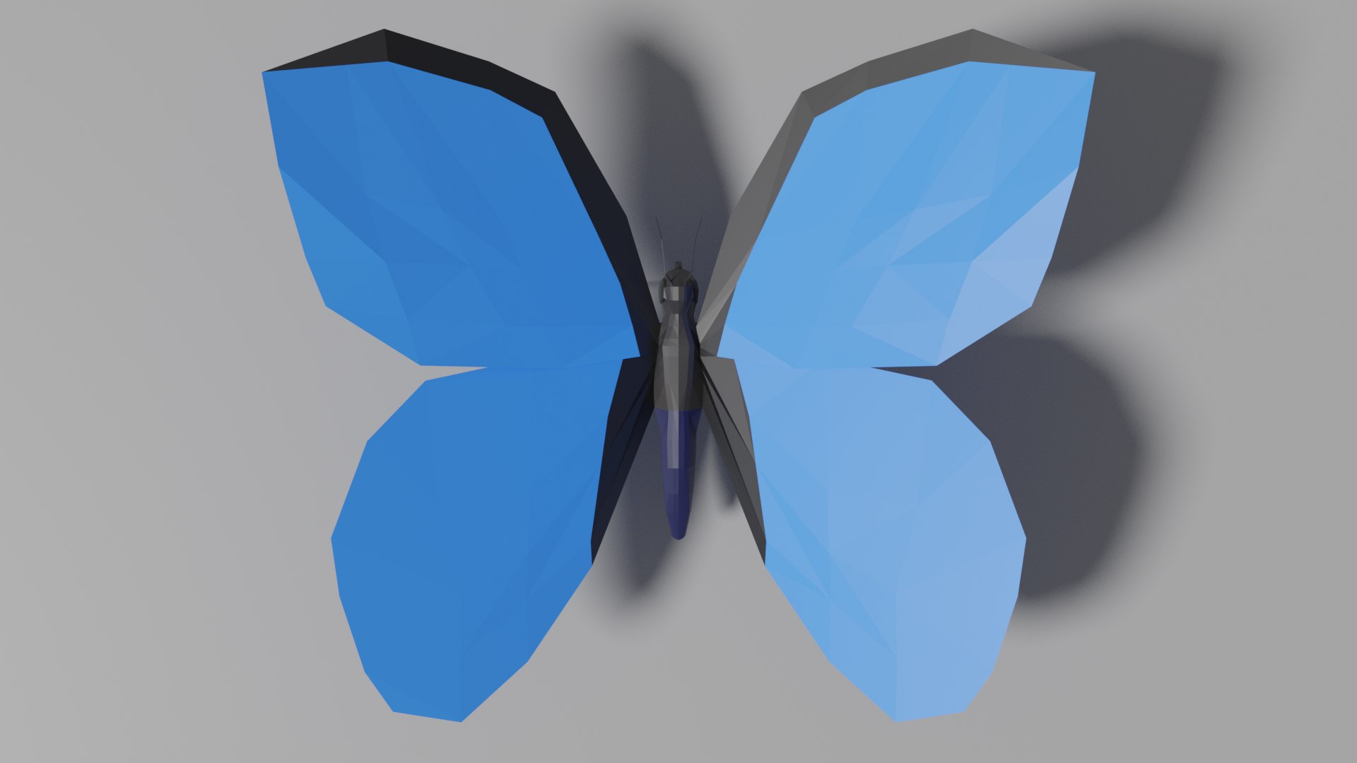 Low-poly Butterfly 3D model - TurboSquid 1777196