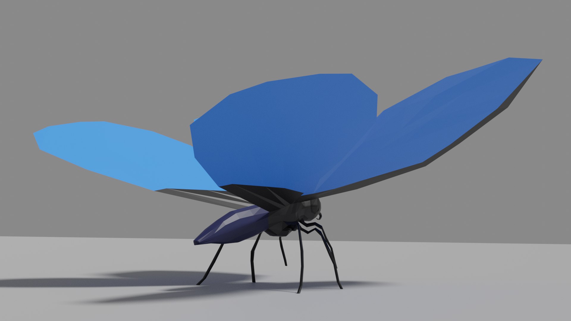 Low-poly Butterfly 3D model - TurboSquid 1777196