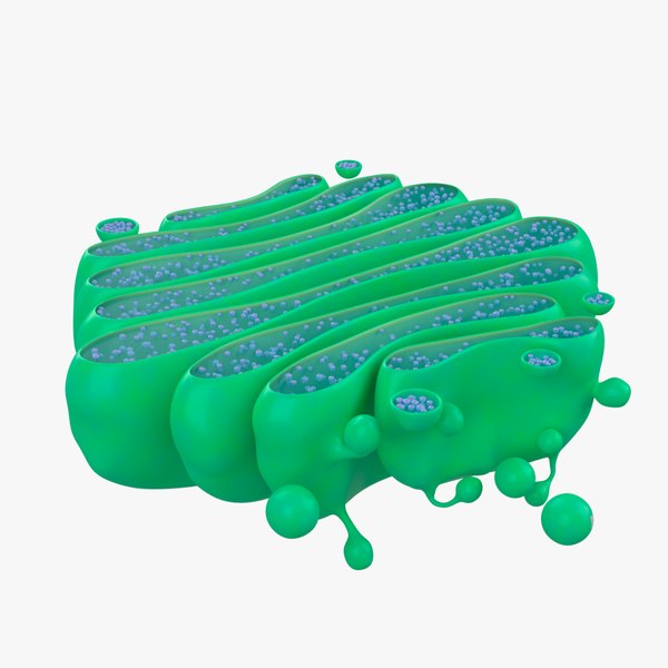 3D Golgi Apparatus model - TurboSquid 1963101