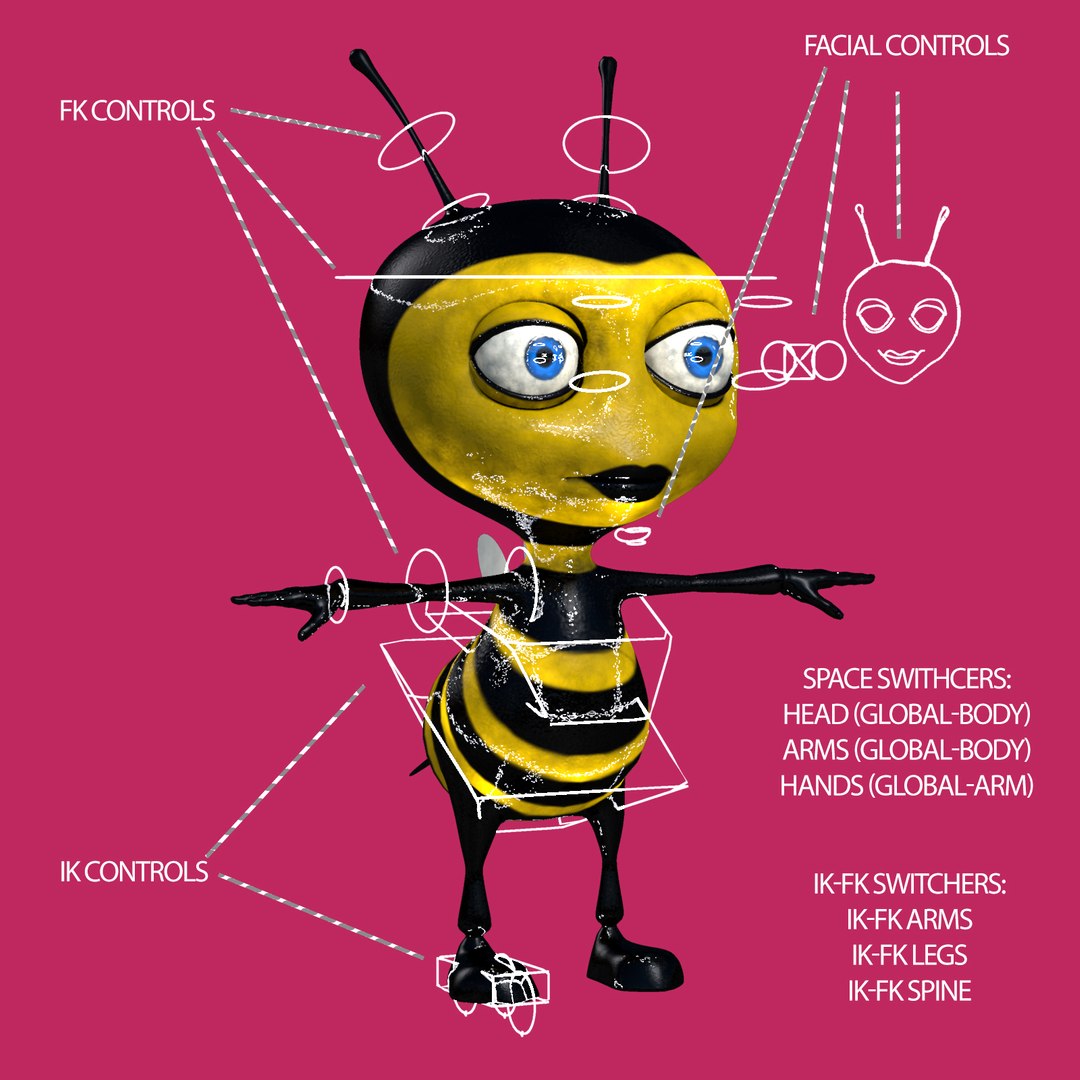 Cartoon Rigged Bee Model