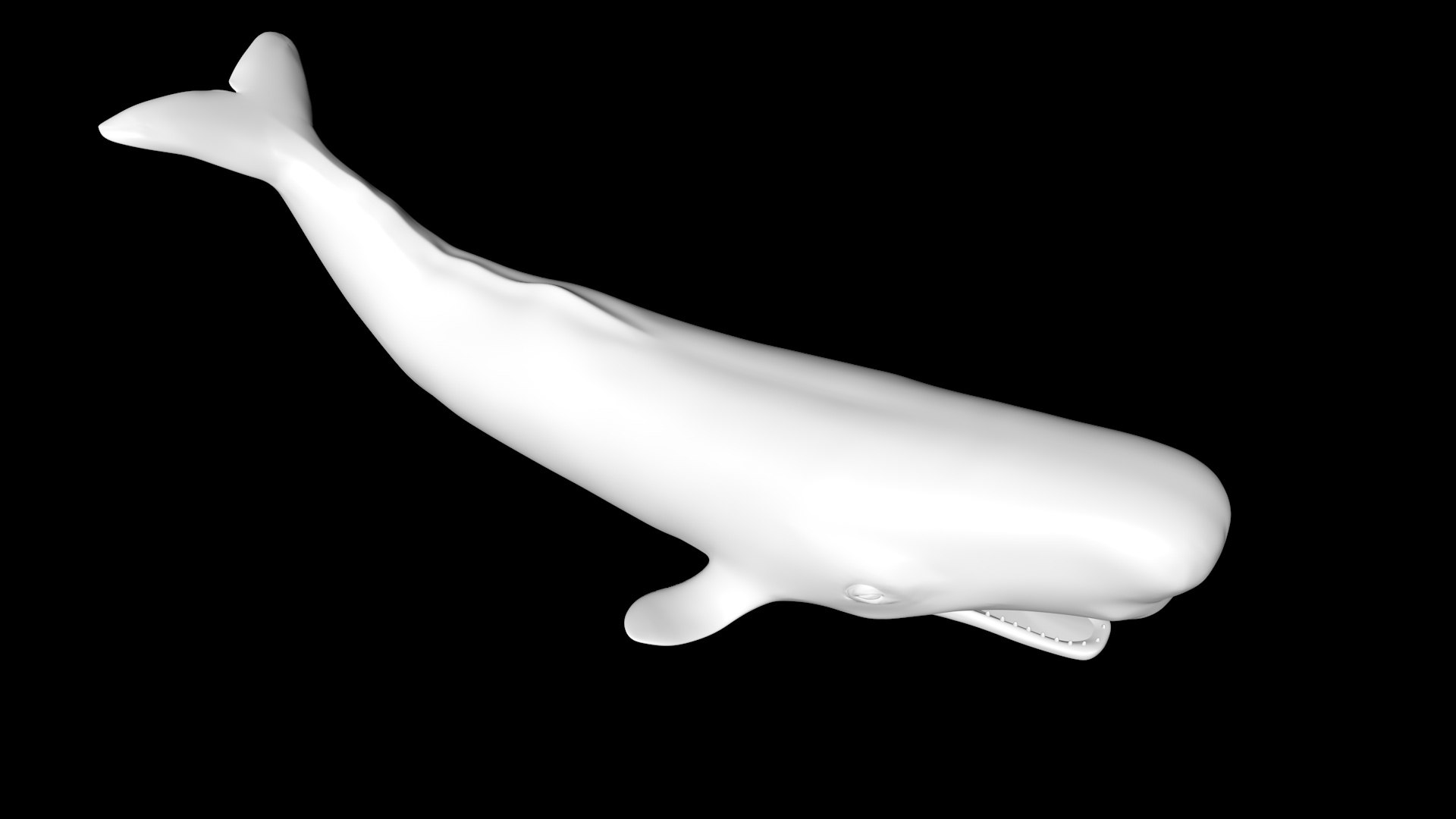 Sperm Whale 3D Model - TurboSquid 1690082