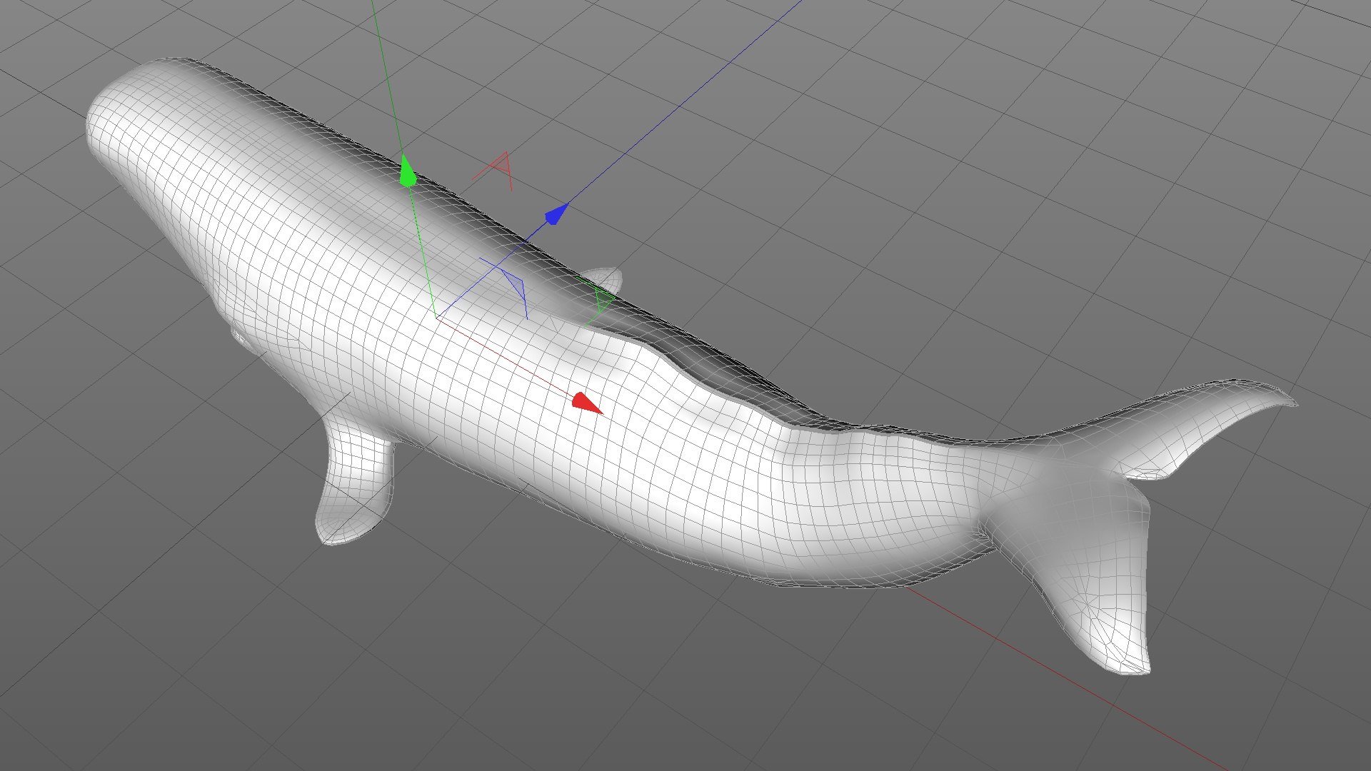 Sperm Whale 3D Model - TurboSquid 1690082