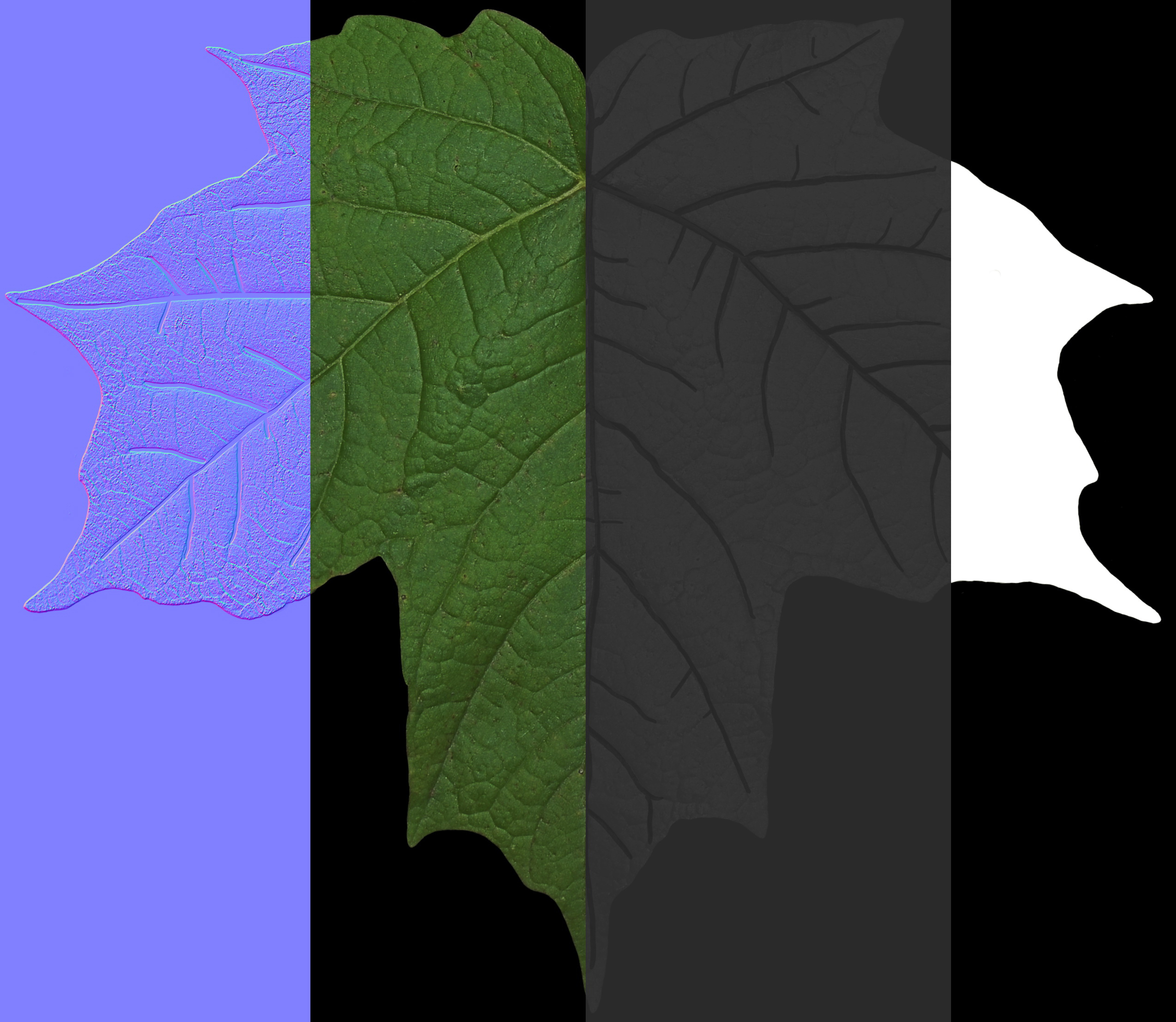 Plant wall 3D model | 1148230 | TurboSquid