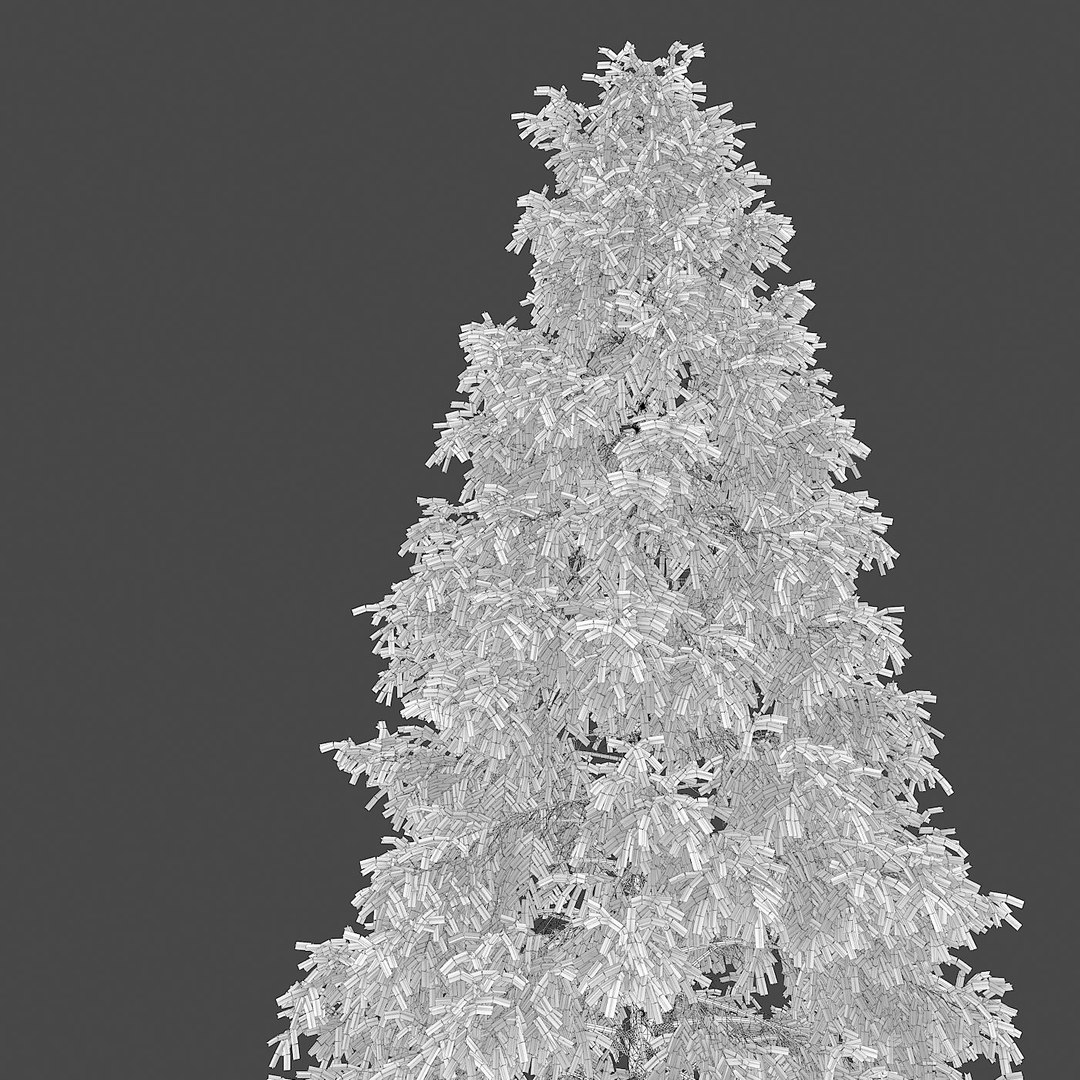 3d Model Of Spruce Tree