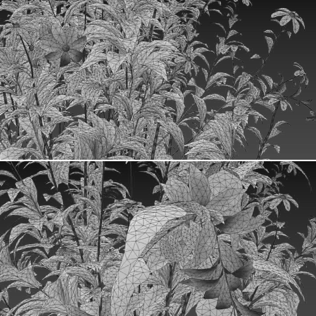 3D Set of Rudbeckia laciniata or cutleaf coneflower Plant model ...