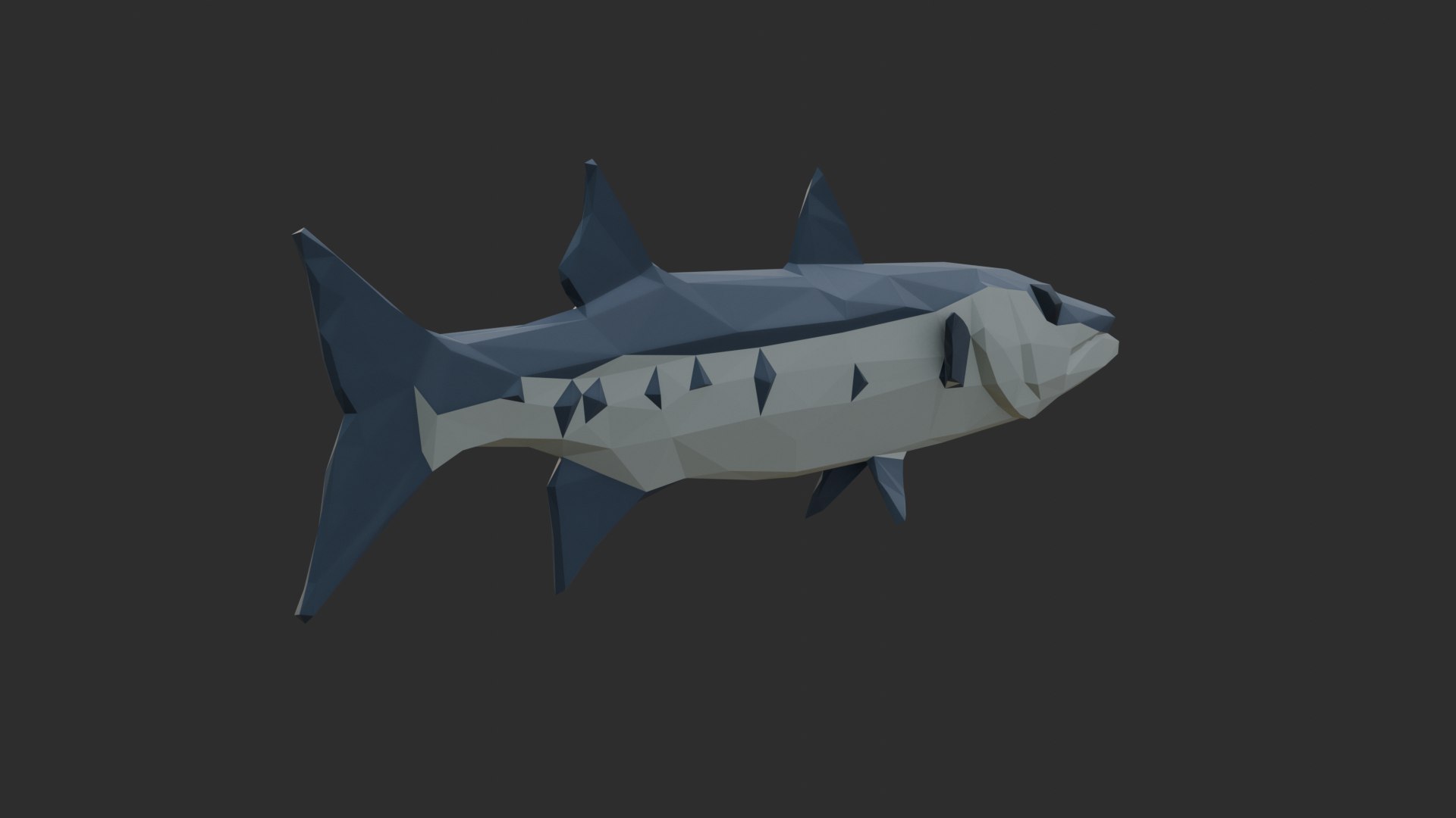 3D LowPoly Great Barracuda Rigged Animated - TurboSquid 2388692