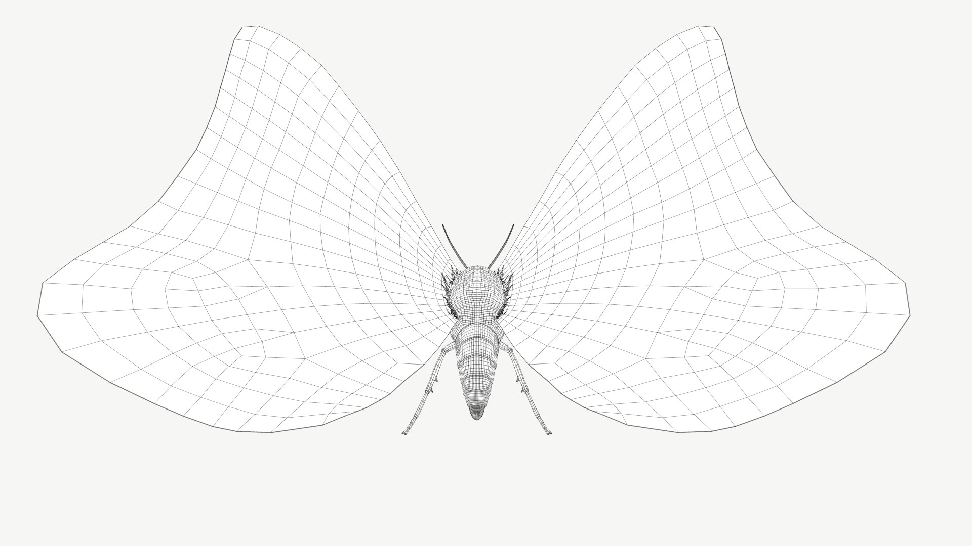 Madagascan Sunset Moth 3d Model