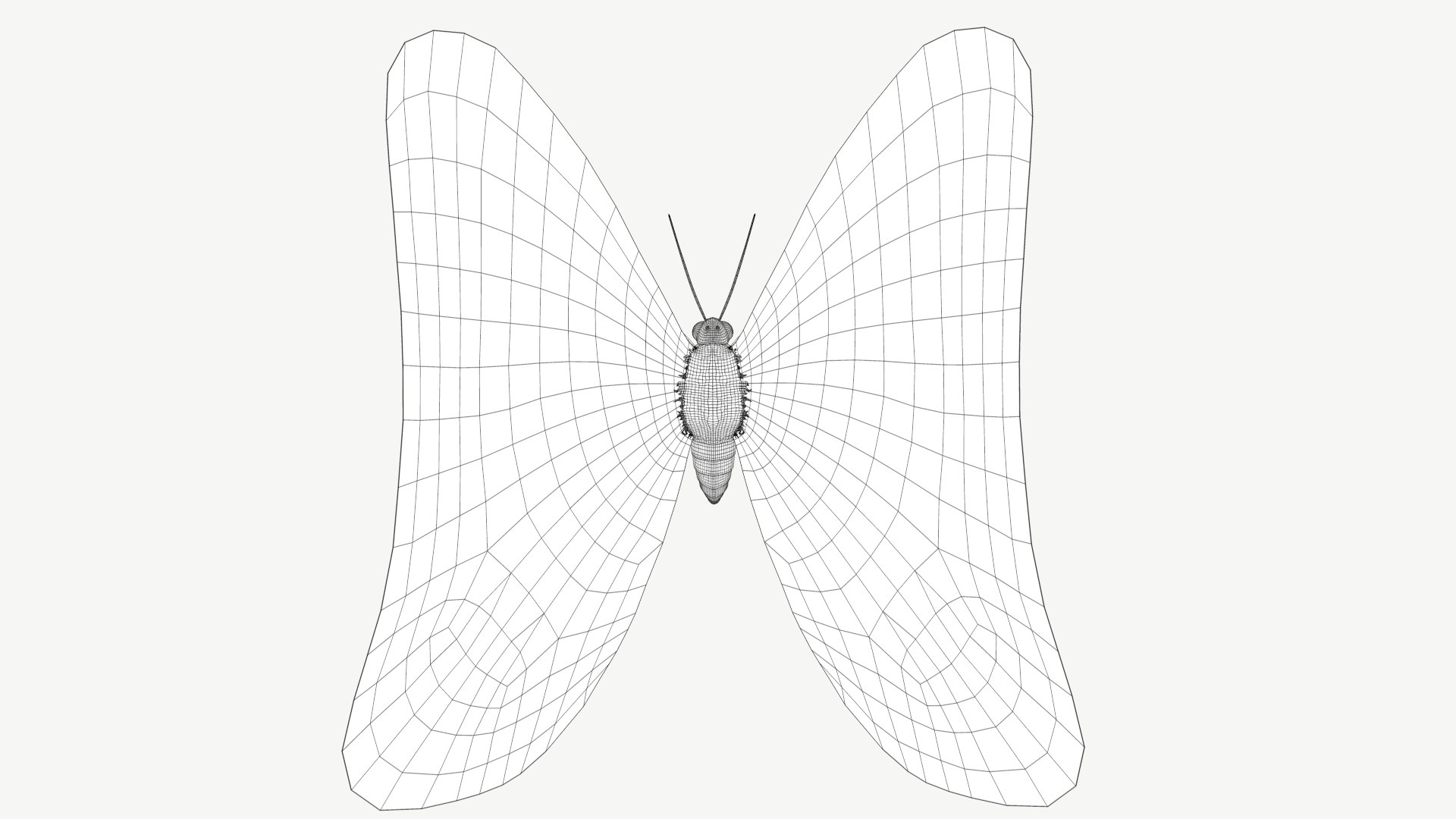 Madagascan Sunset Moth 3d Model