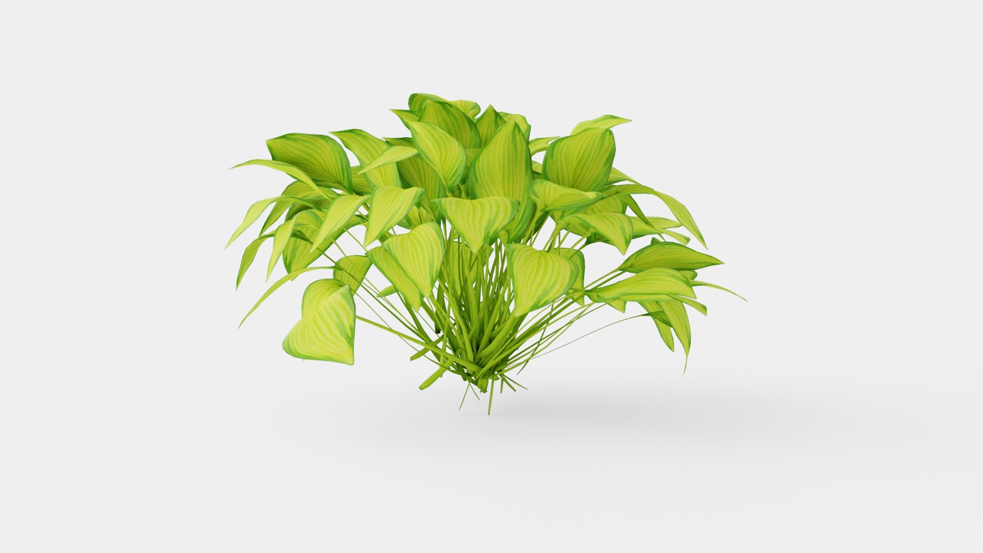 Hosta Stained Glass Bladlilje 3D Model - TurboSquid 2249137