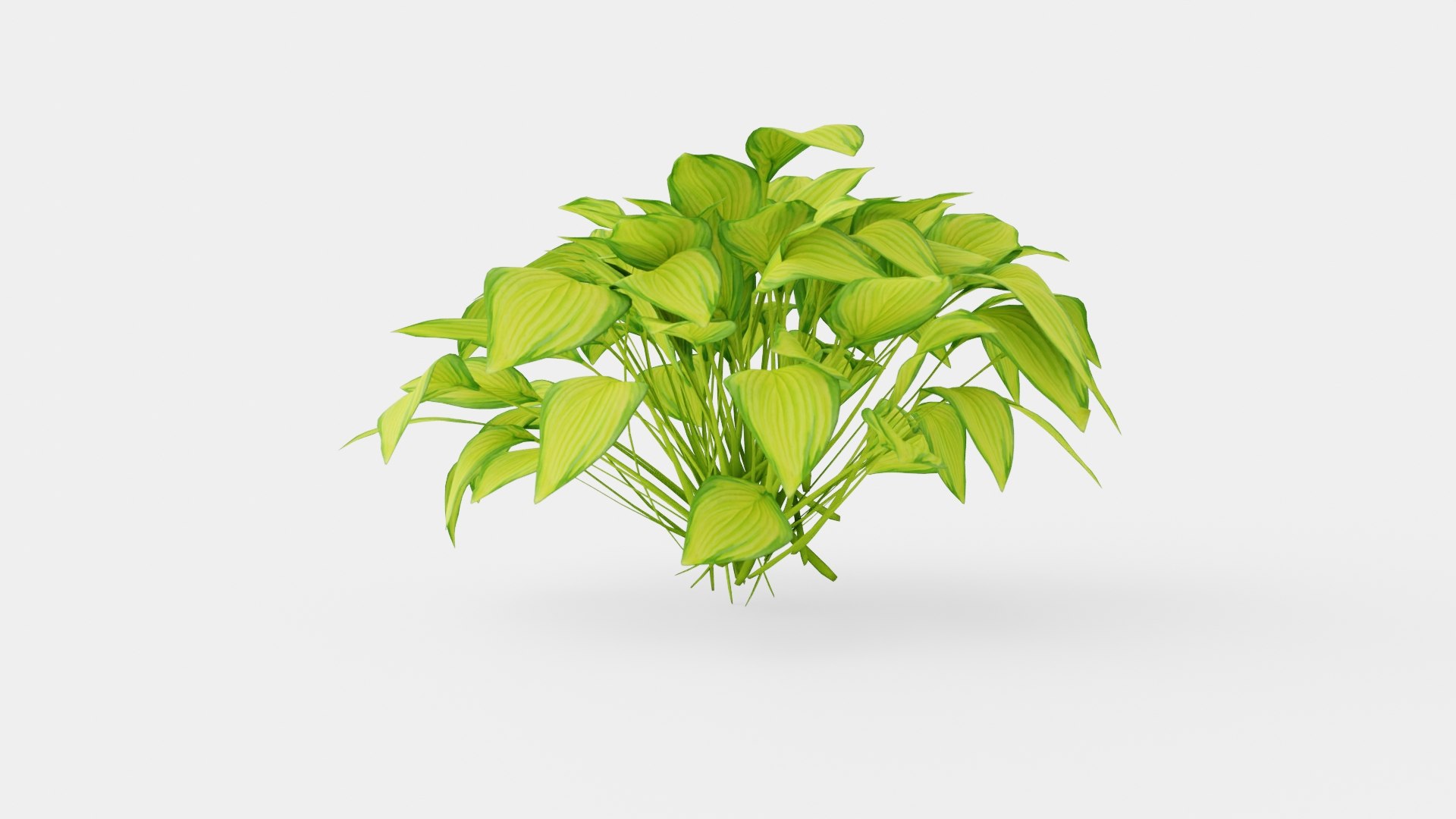 Hosta Stained Glass Bladlilje 3D Model - TurboSquid 2249137