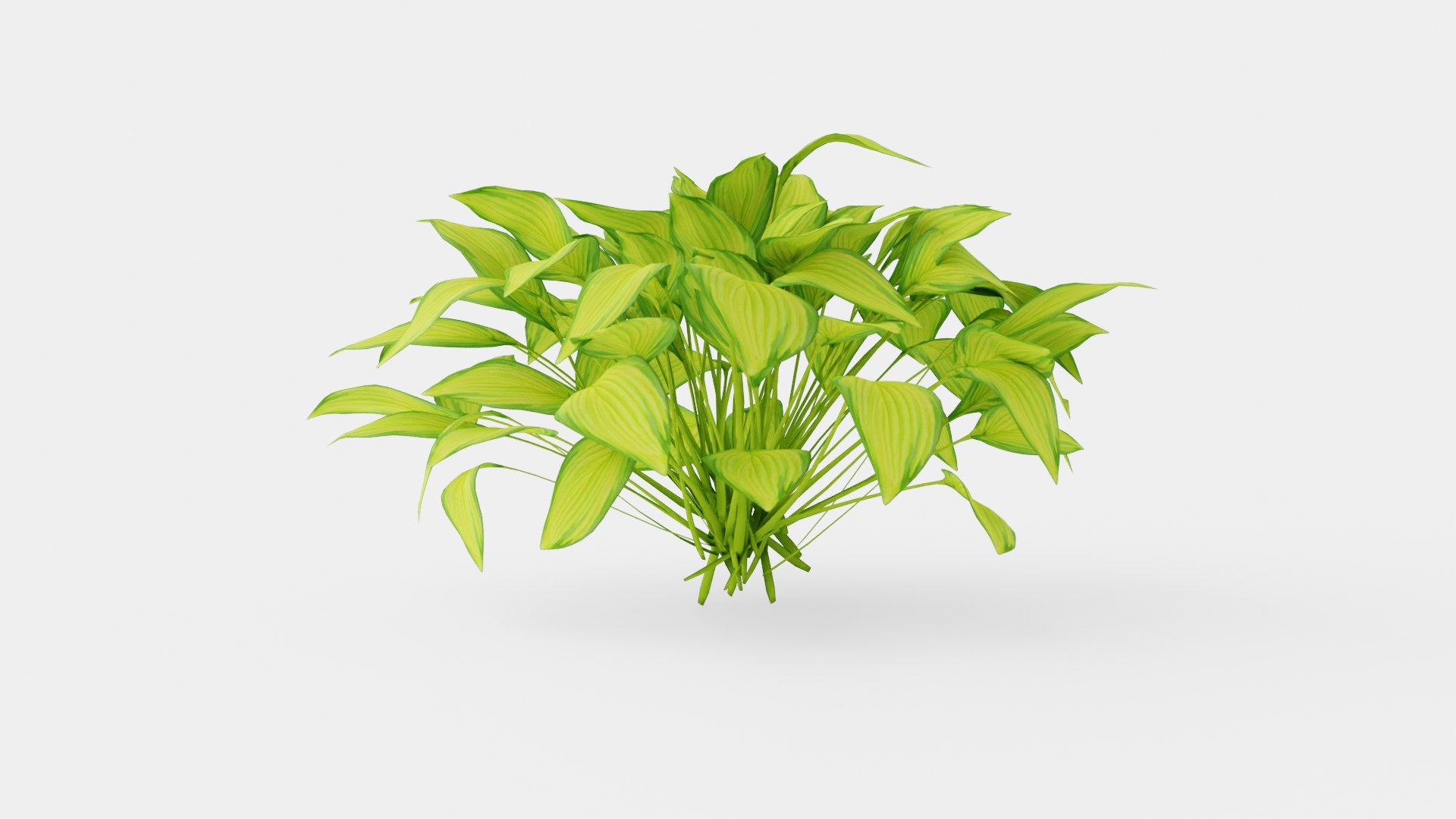 Hosta Stained Glass Bladlilje 3D Model - TurboSquid 2249137