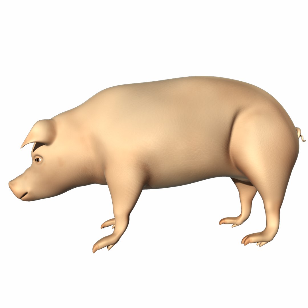 Pig 3ds