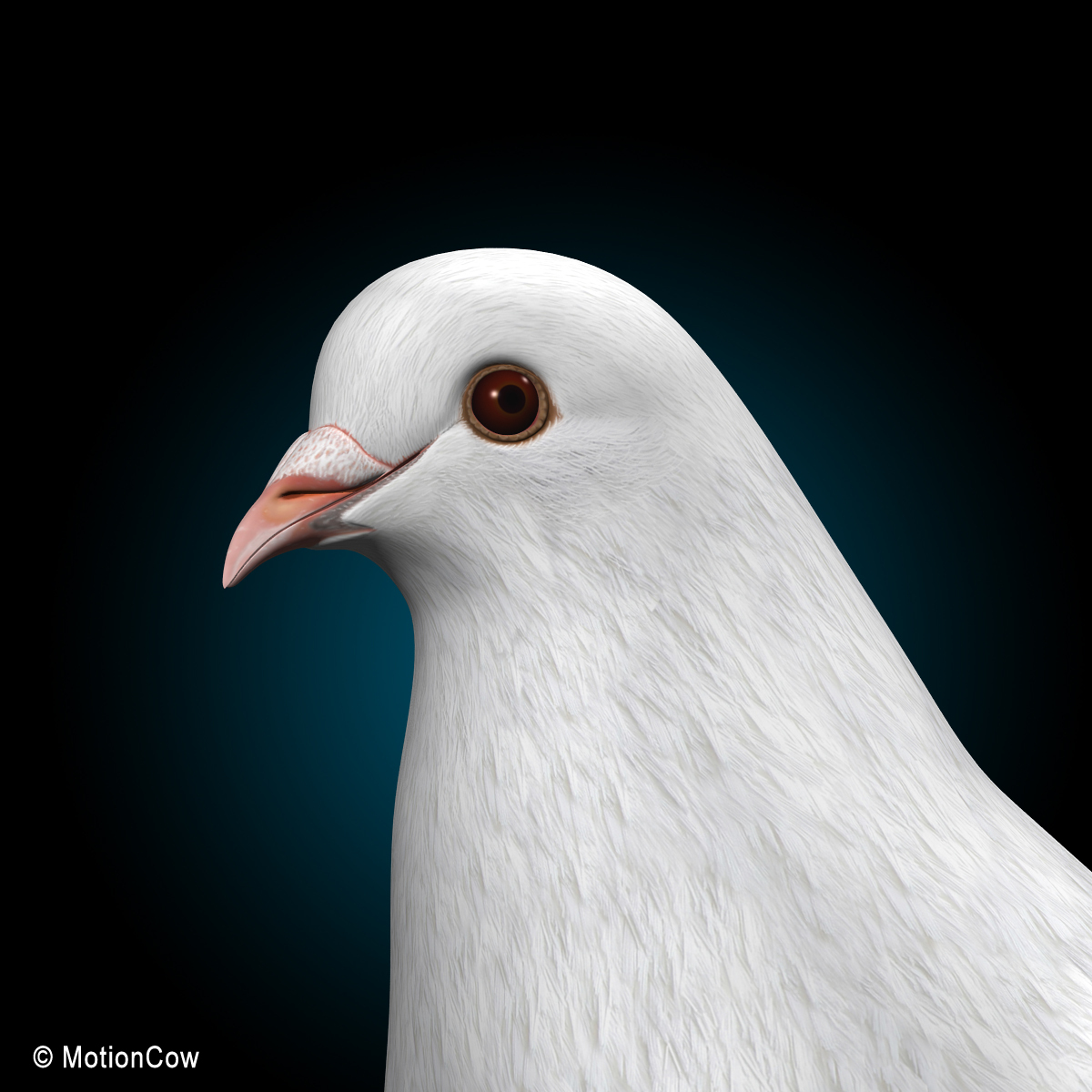 3ds max realistic flying dove