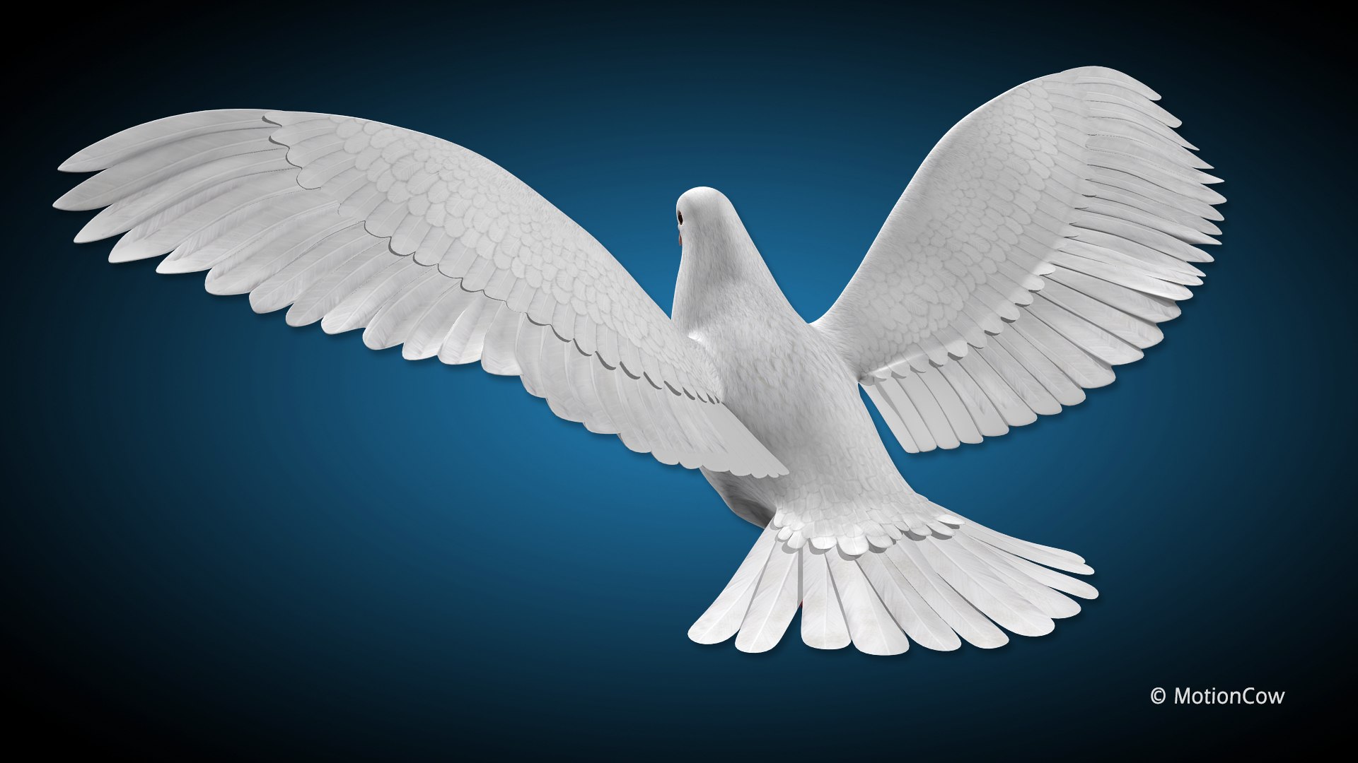 3ds Max Realistic Flying Dove