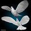 3ds Max Realistic Flying Dove