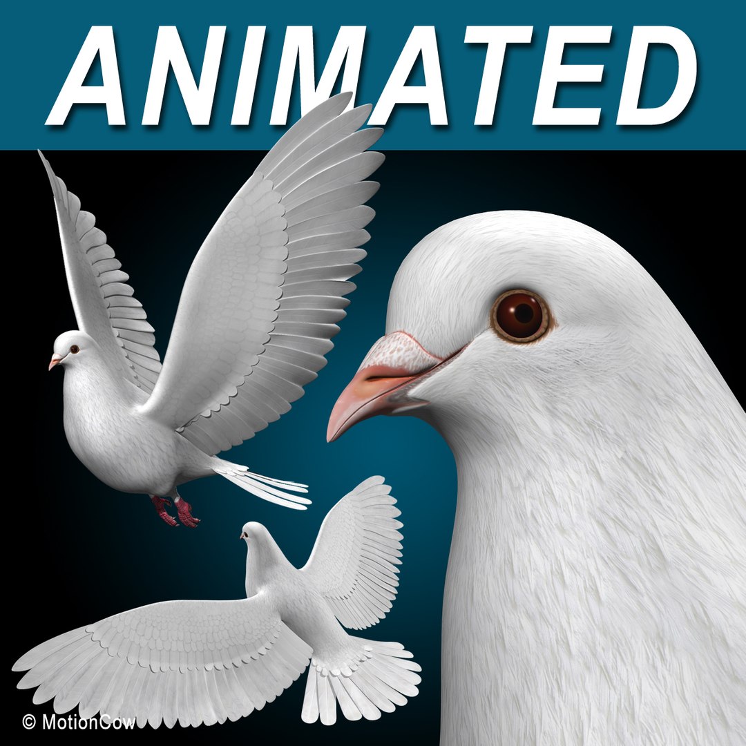 3ds Max Realistic Flying Dove