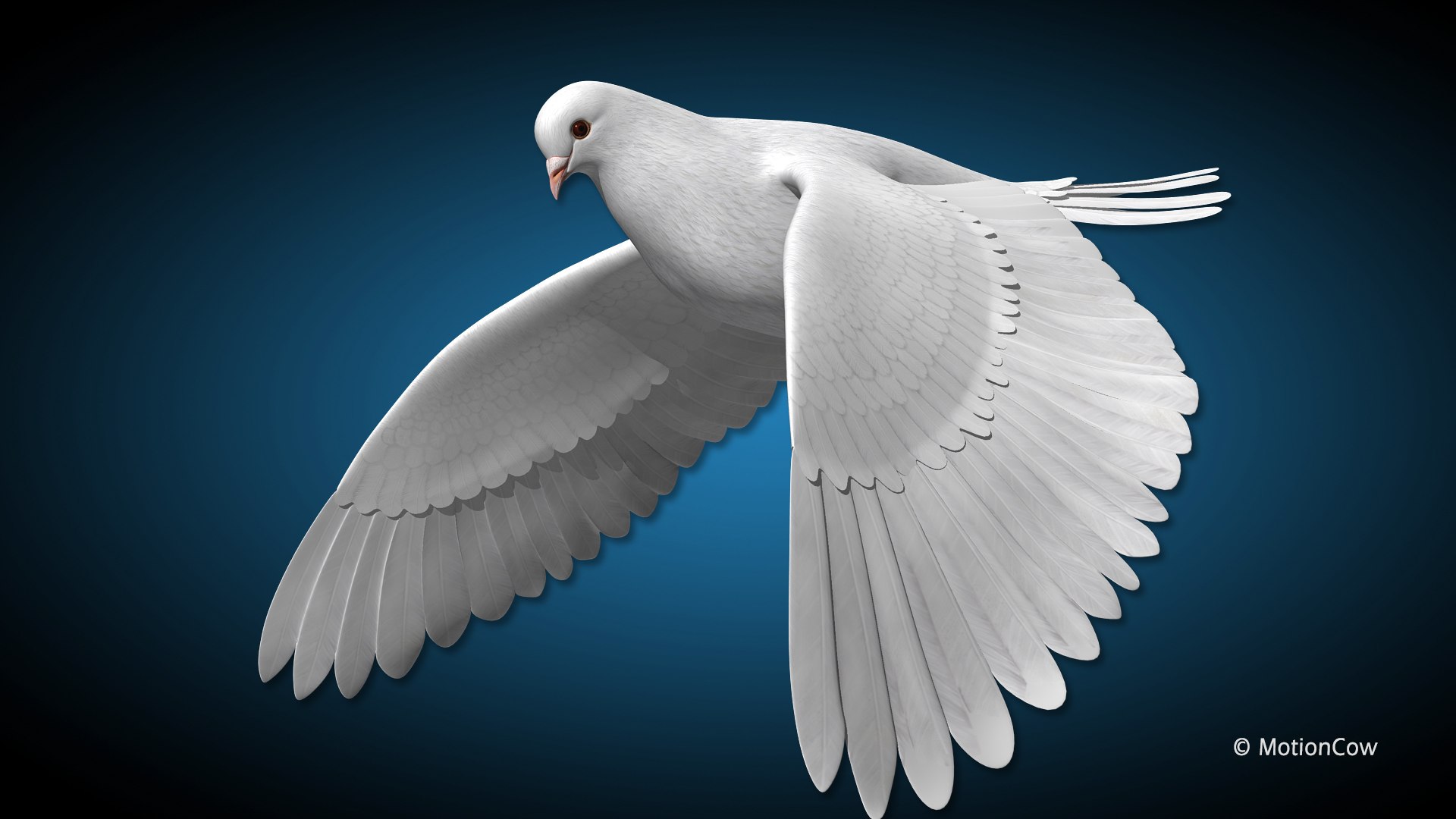 3ds Max Realistic Flying Dove