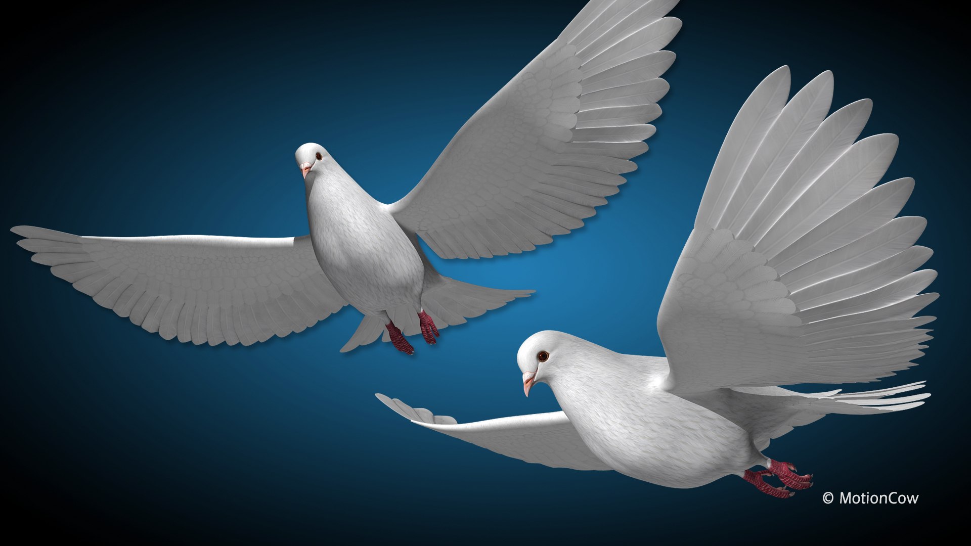 3ds Max Realistic Flying Dove