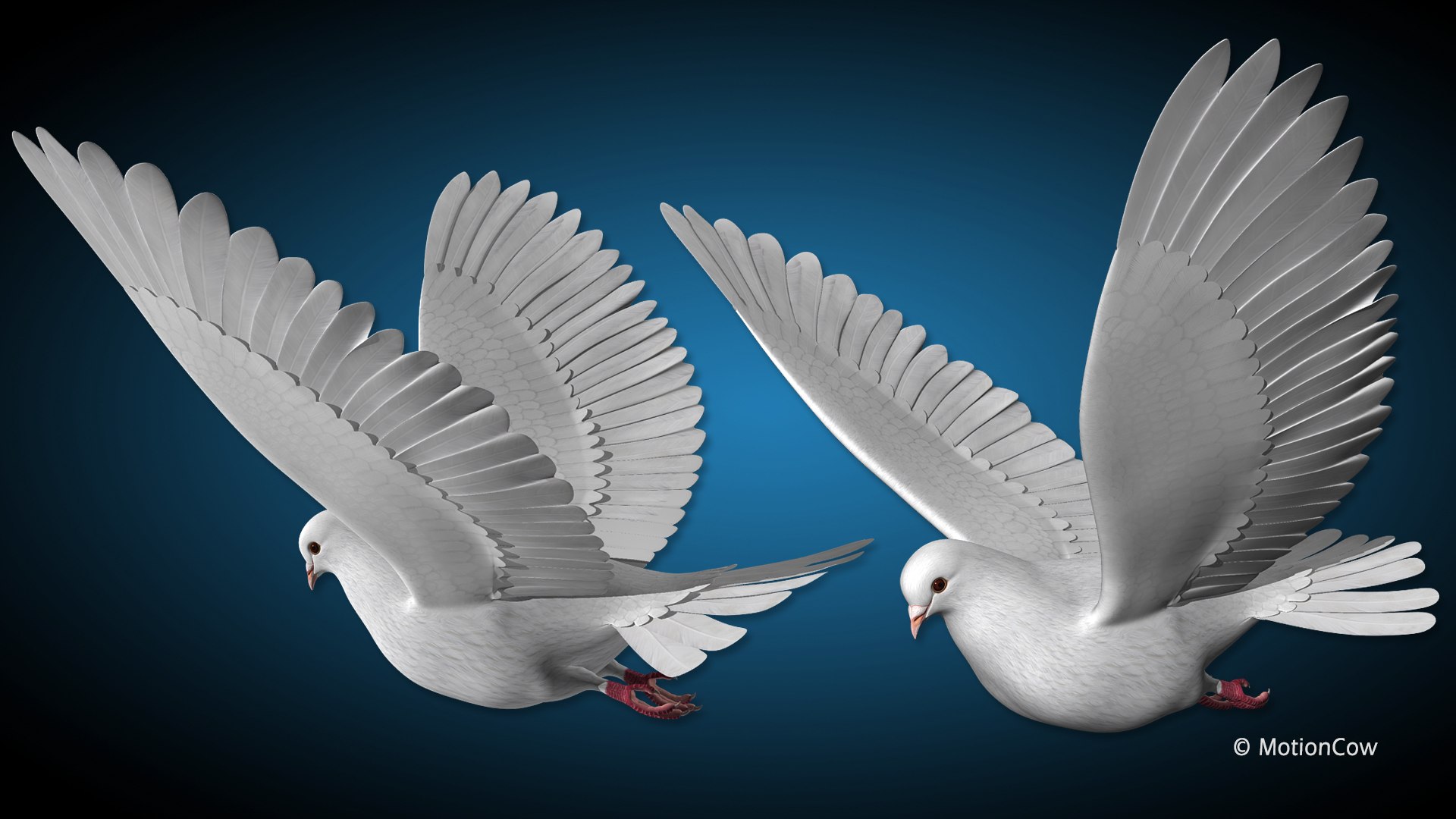3ds Max Realistic Flying Dove