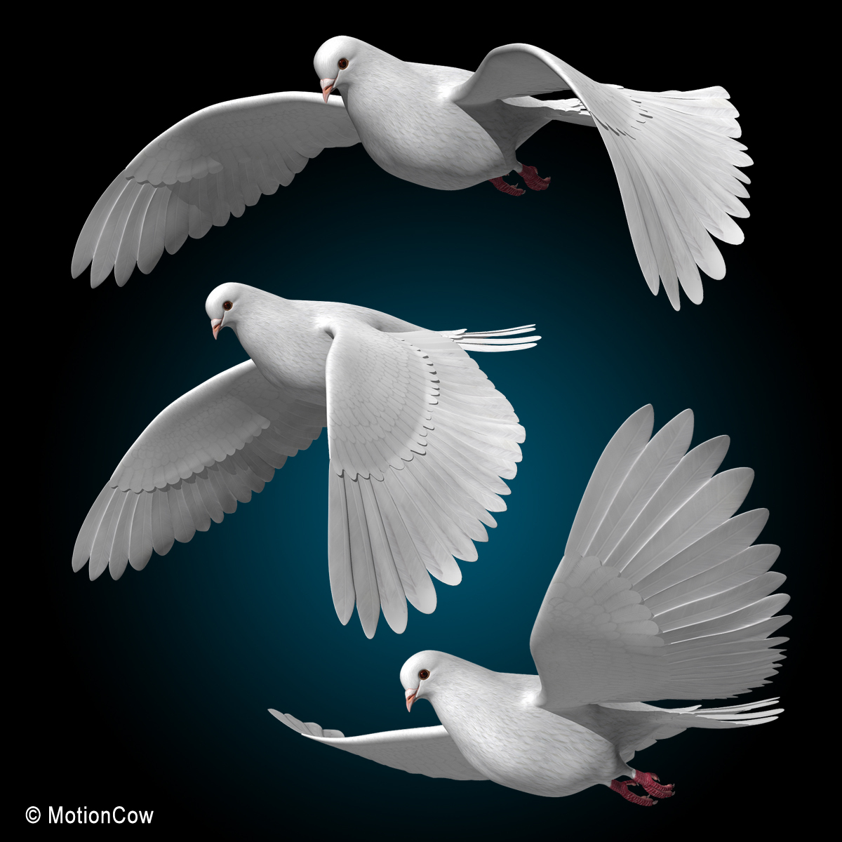 3ds max realistic flying dove