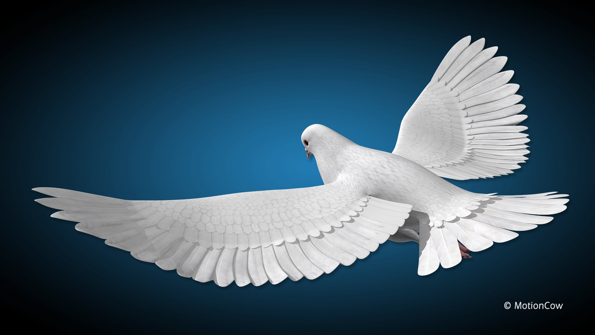 3ds Max Realistic Flying Dove