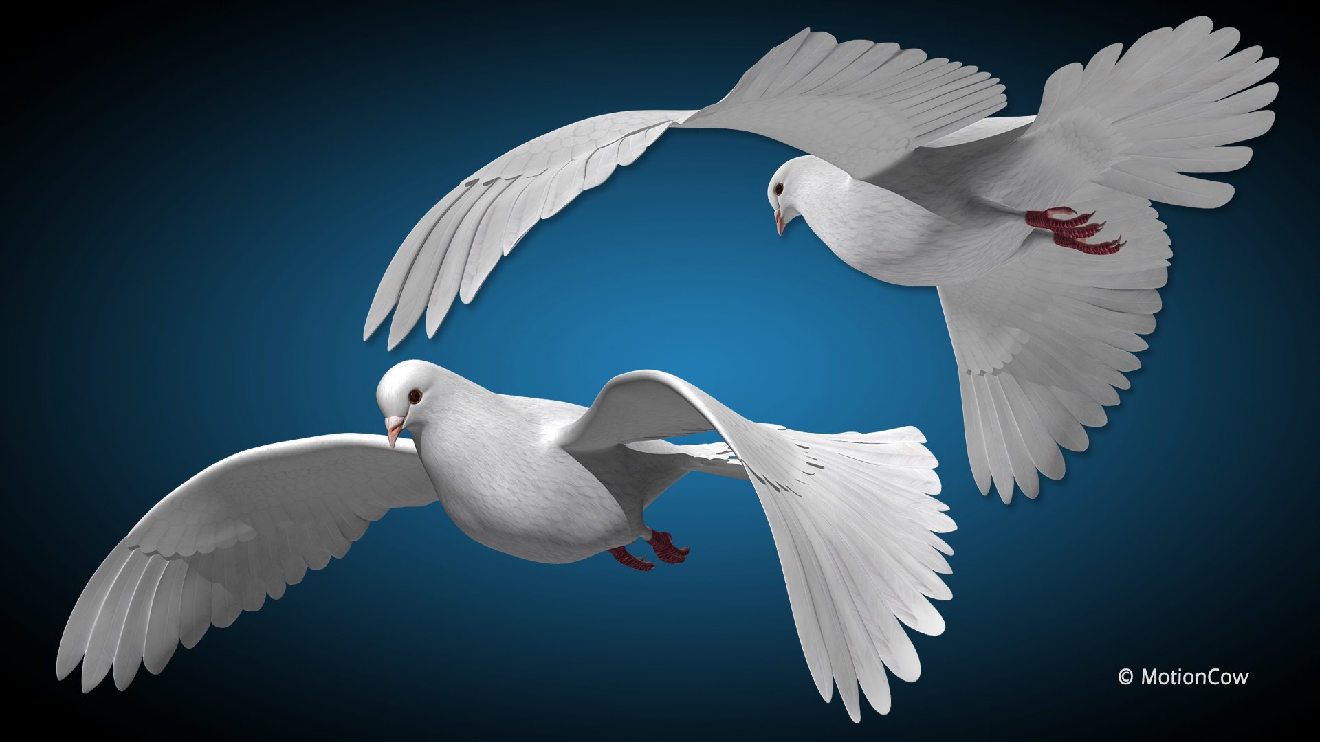 3ds Max Realistic Flying Dove