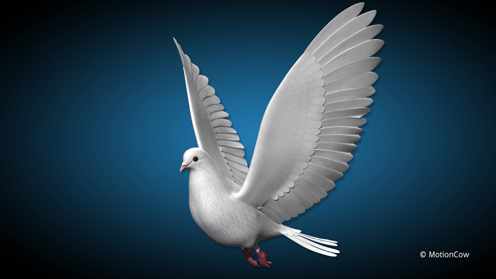 3ds Max Realistic Flying Dove
