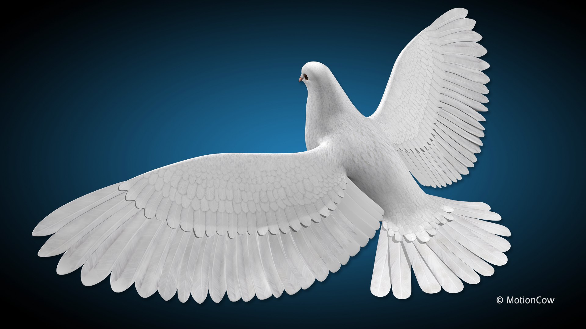 3ds Max Realistic Flying Dove