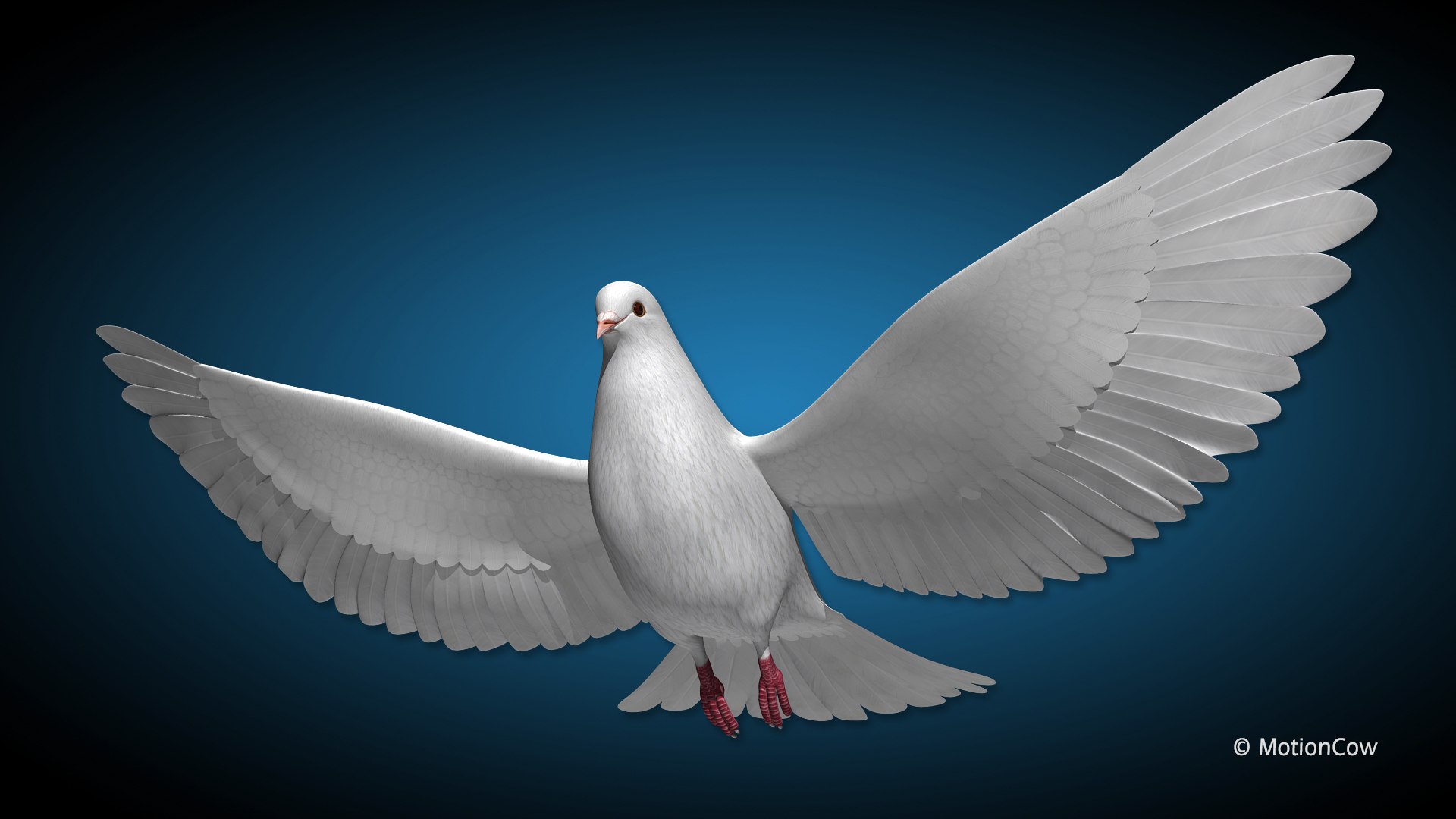 3ds Max Realistic Flying Dove