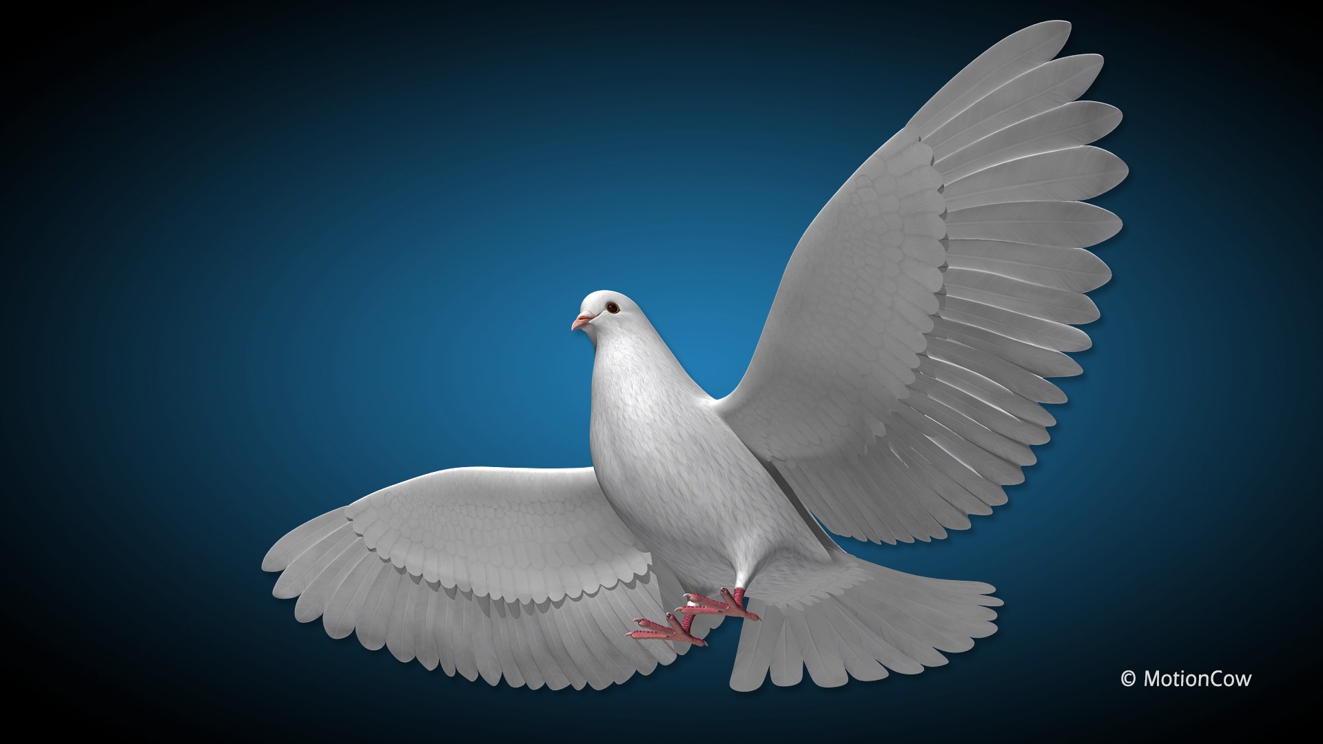 3ds Max Realistic Flying Dove