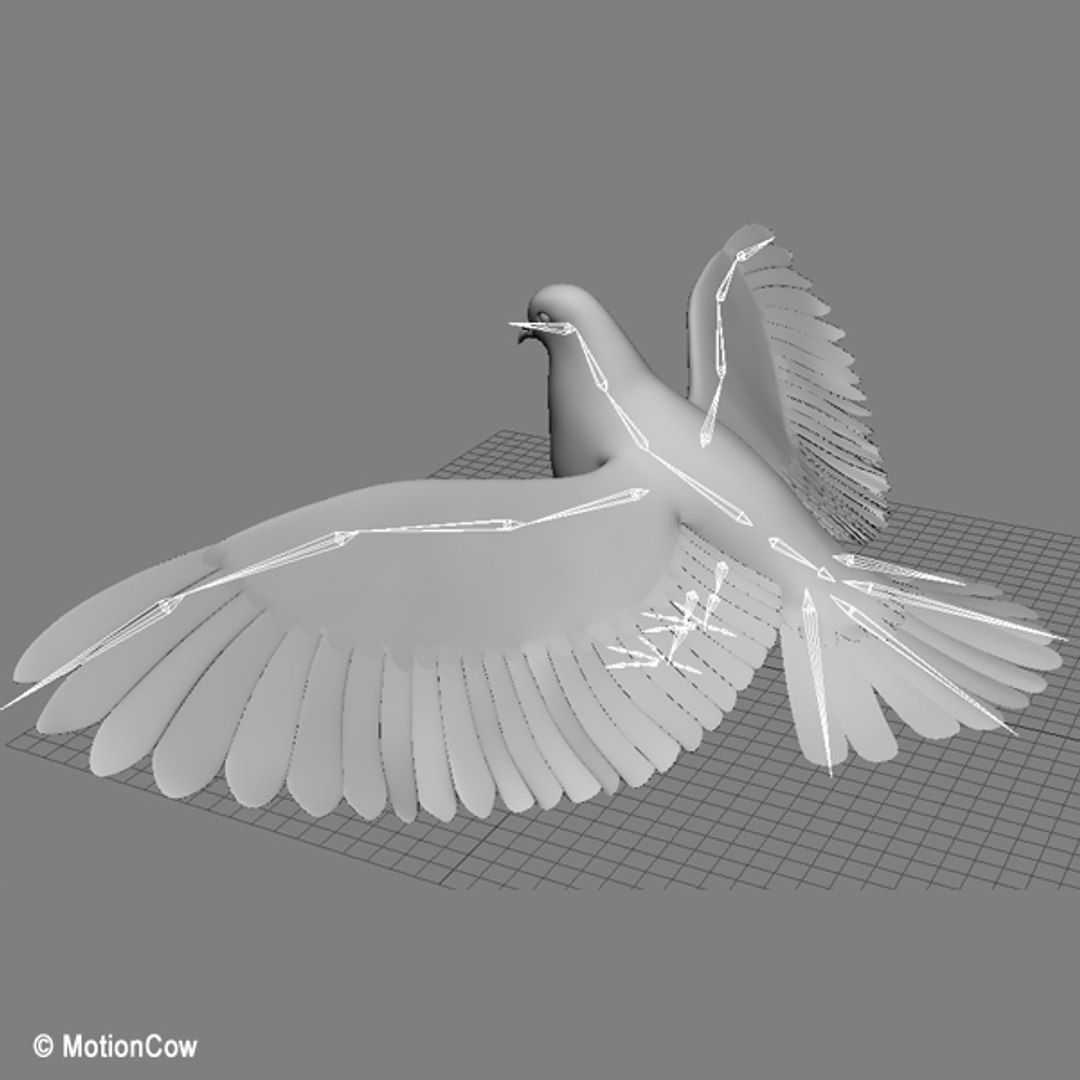 3ds Max Realistic Flying Dove