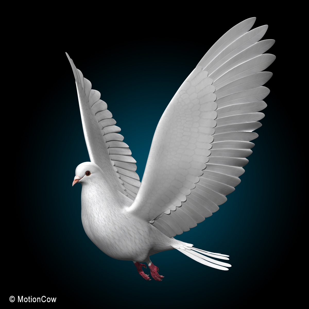 3ds max realistic flying dove