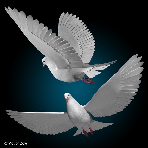 3ds max realistic flying dove