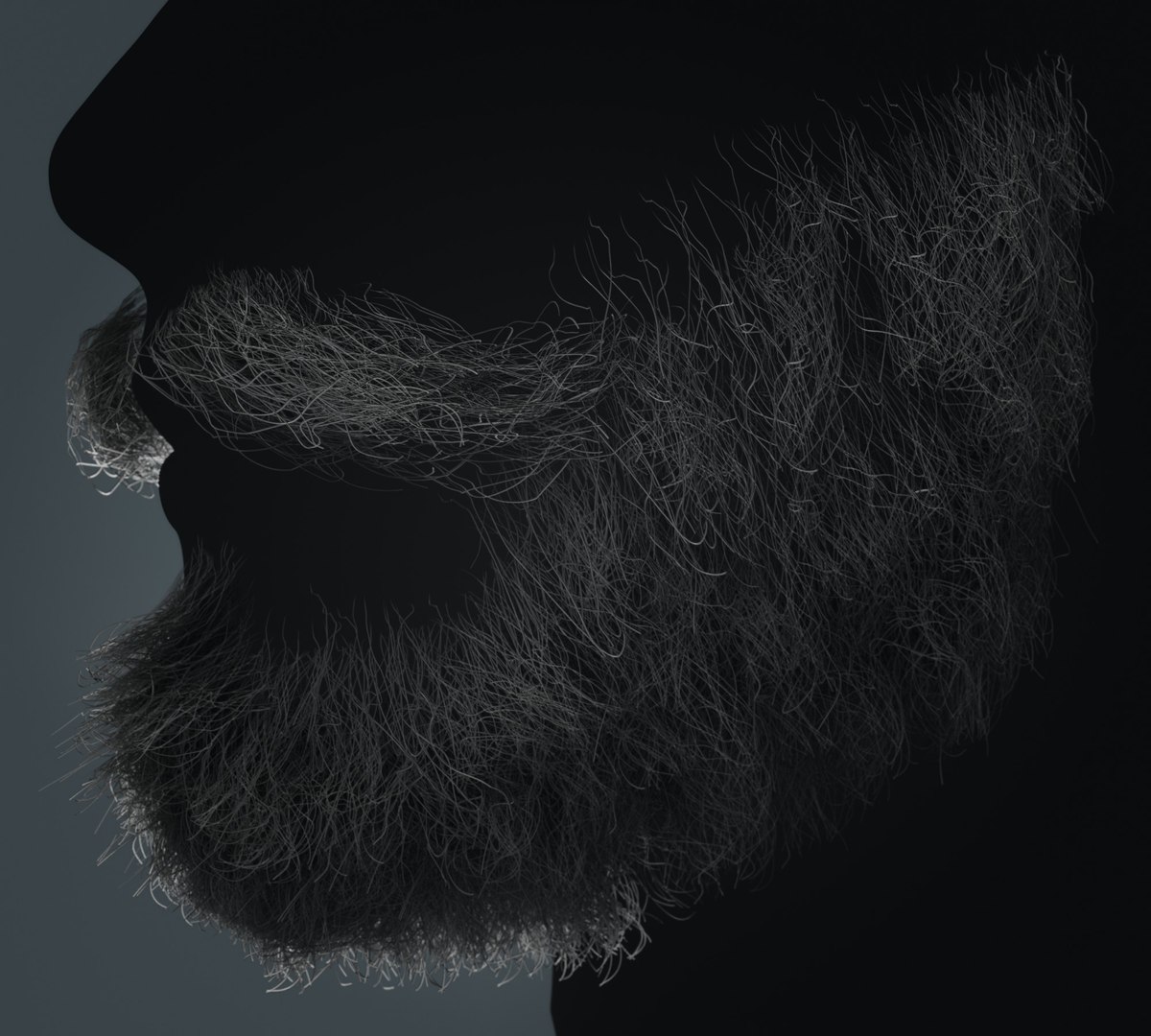Beard RealTime 14 Version 2 3D model - TurboSquid 1892379