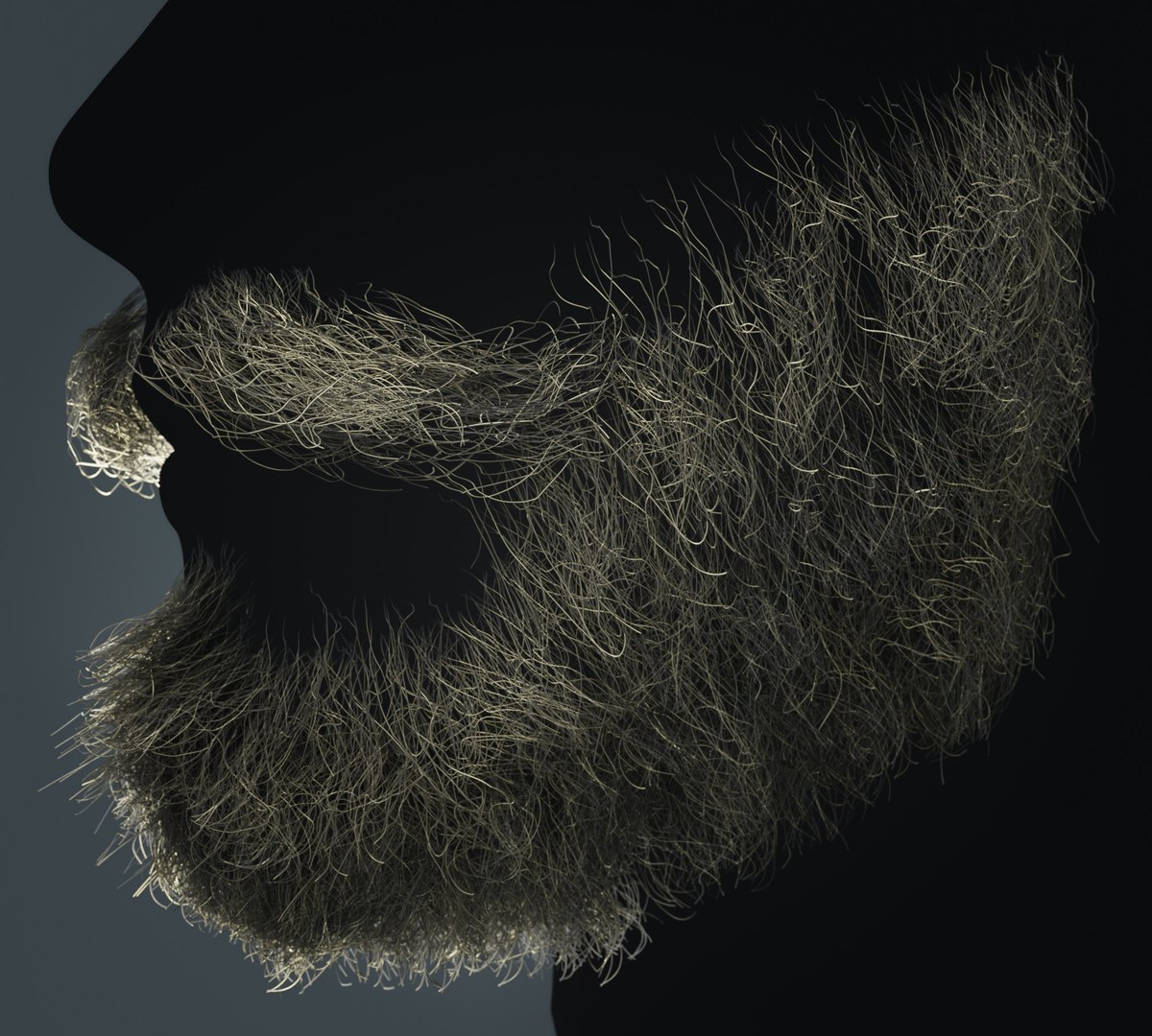 Beard RealTime 14 Version 2 3D model - TurboSquid 1892379