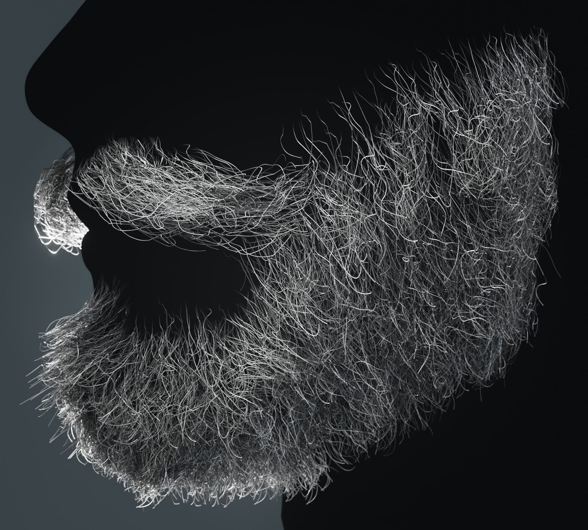 Beard RealTime 14 Version 2 3D model - TurboSquid 1892379