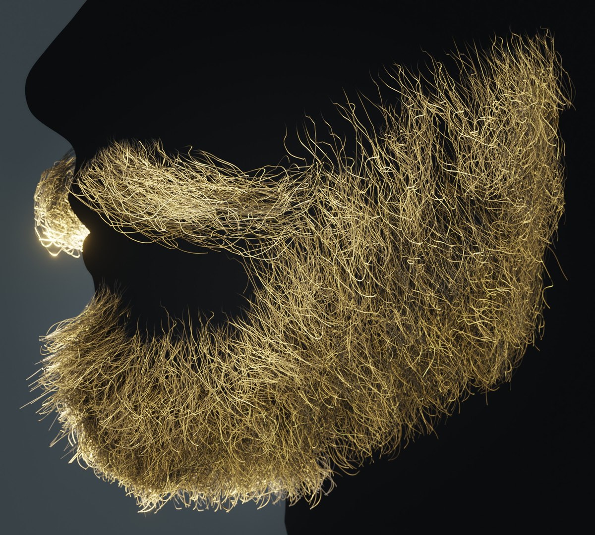 Beard RealTime 14 Version 2 3D model - TurboSquid 1892379