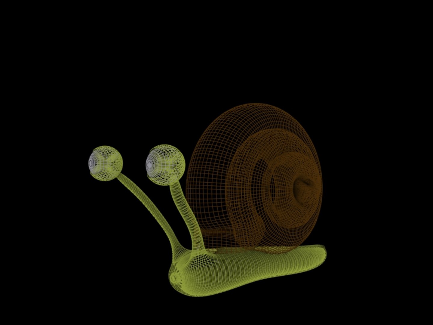 3d Snail Model