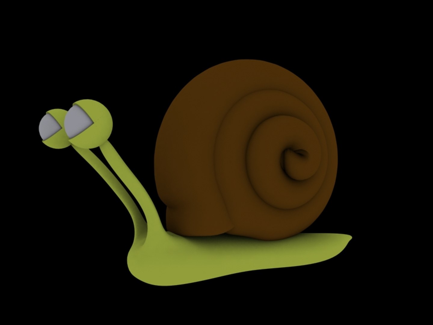 3d Snail Model