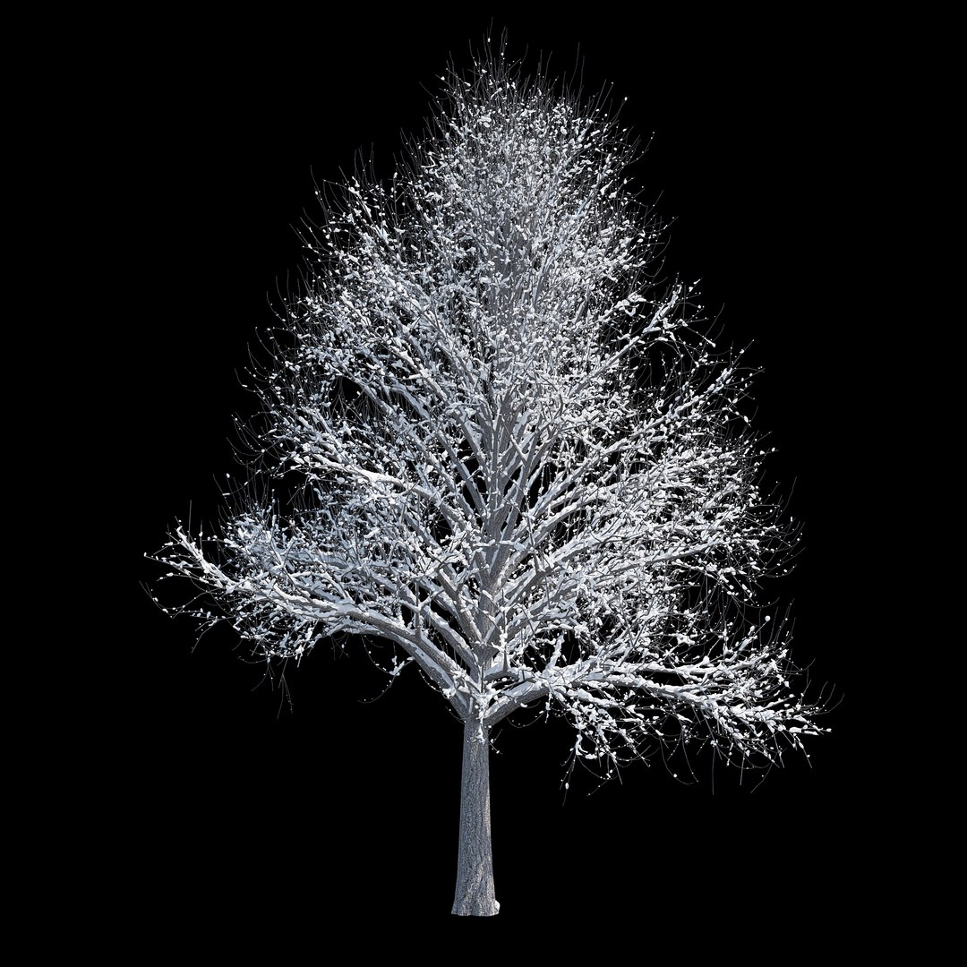 3D Winter Tree 01 Model - TurboSquid 1222162