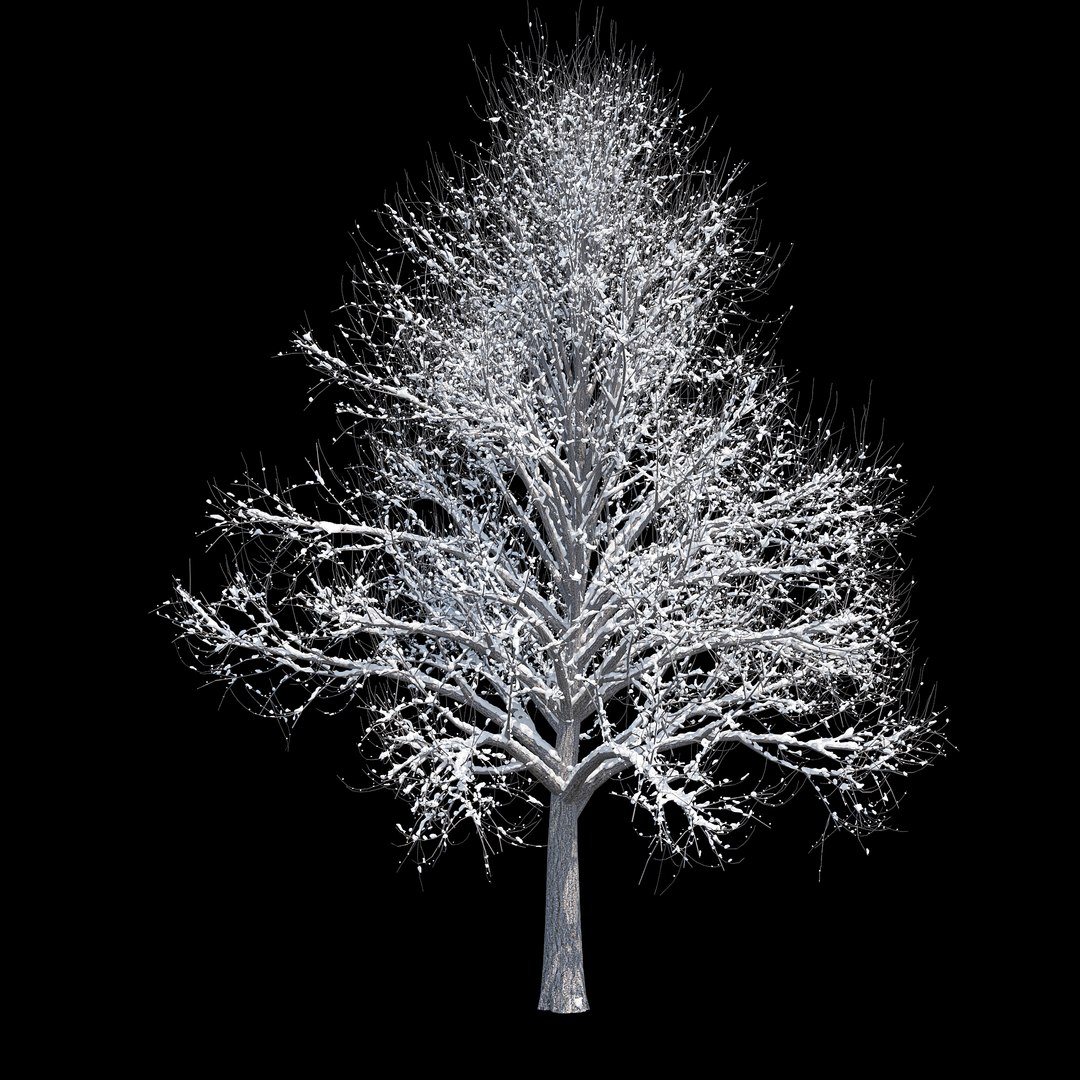 3D Winter Tree 01 Model - TurboSquid 1222162