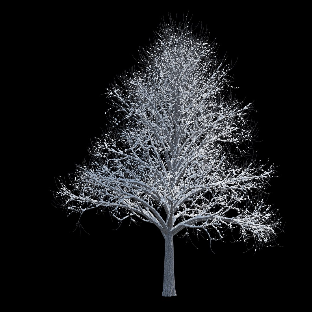 3D Winter Tree 01 Model - TurboSquid 1222162