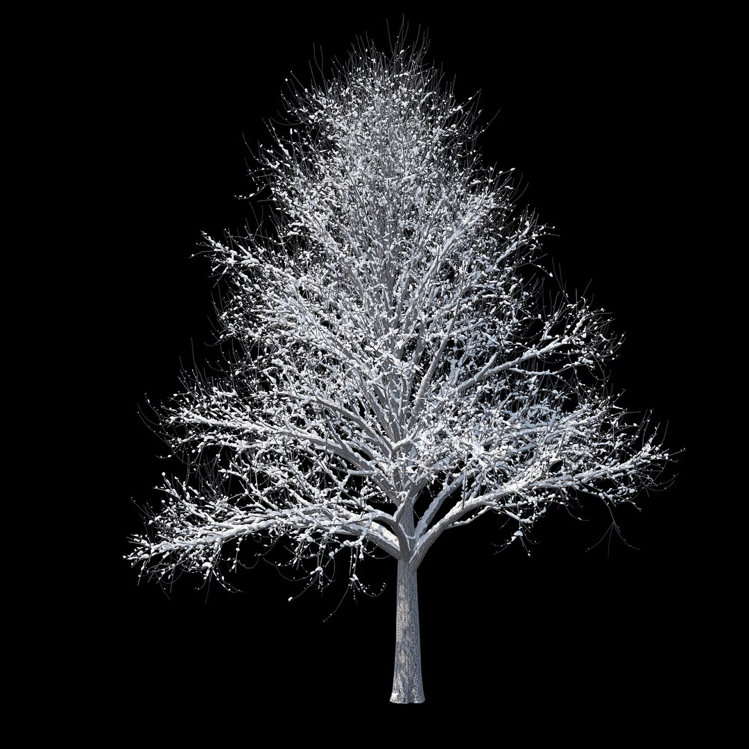 3D Winter Tree 01 Model - TurboSquid 1222162