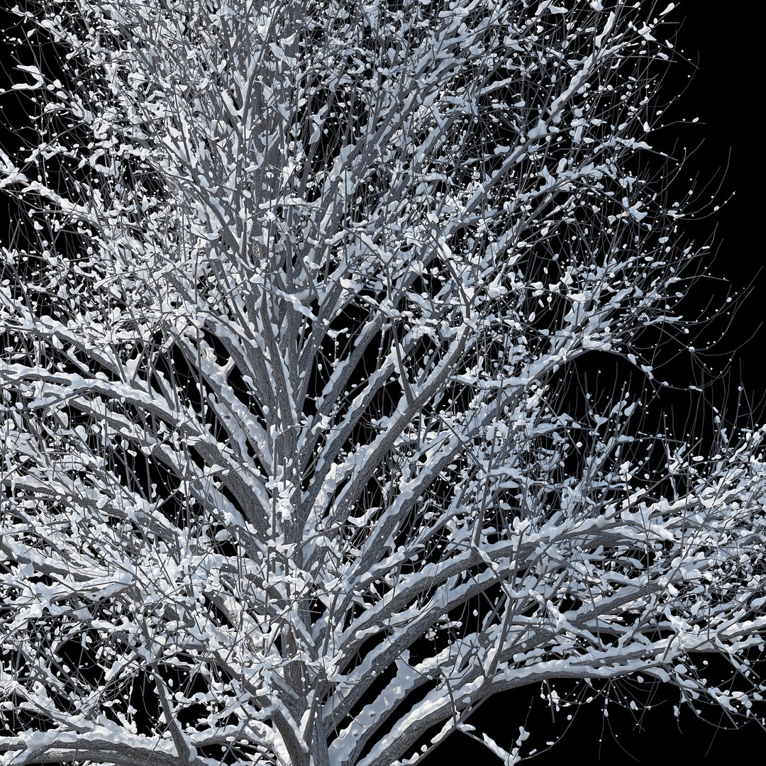 3D Winter Tree 01 Model - TurboSquid 1222162