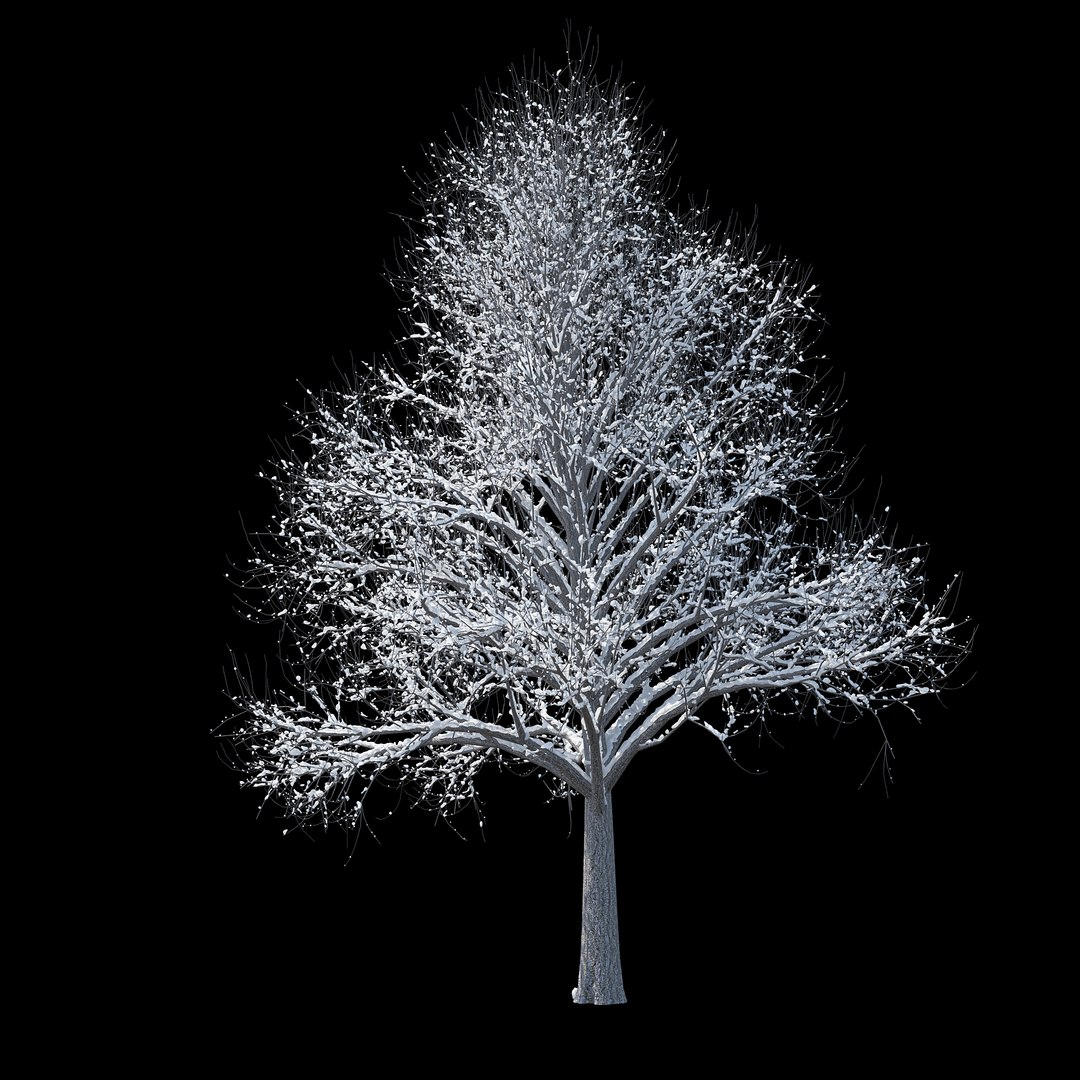 3D Winter Tree 01 Model - TurboSquid 1222162