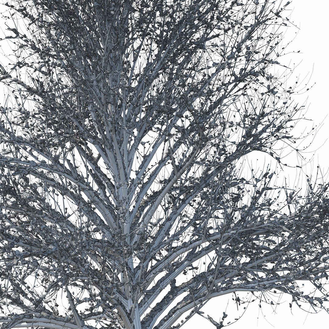 3D Winter Tree 01 Model - TurboSquid 1222162