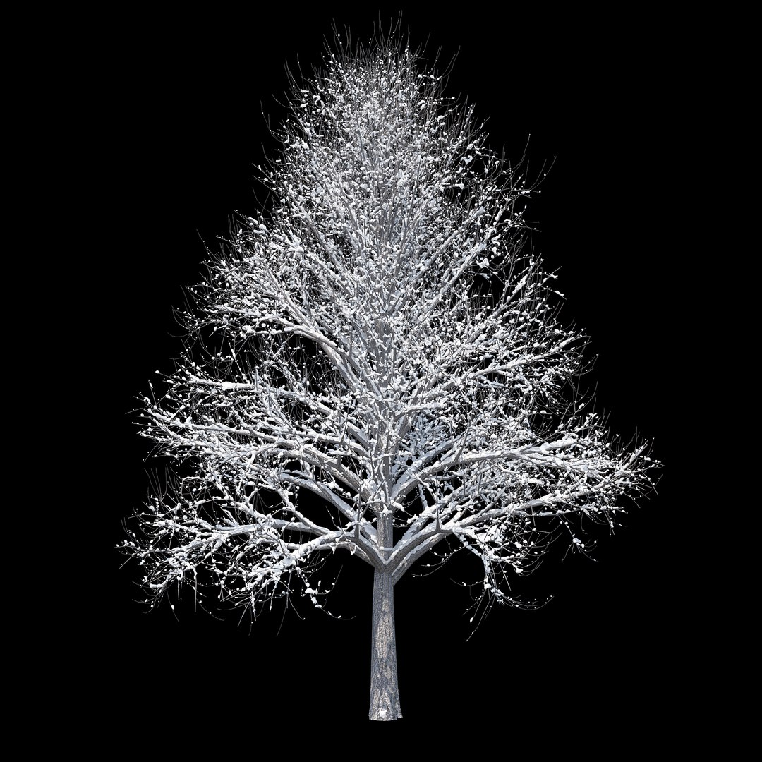 3D Winter Tree 01 Model - TurboSquid 1222162